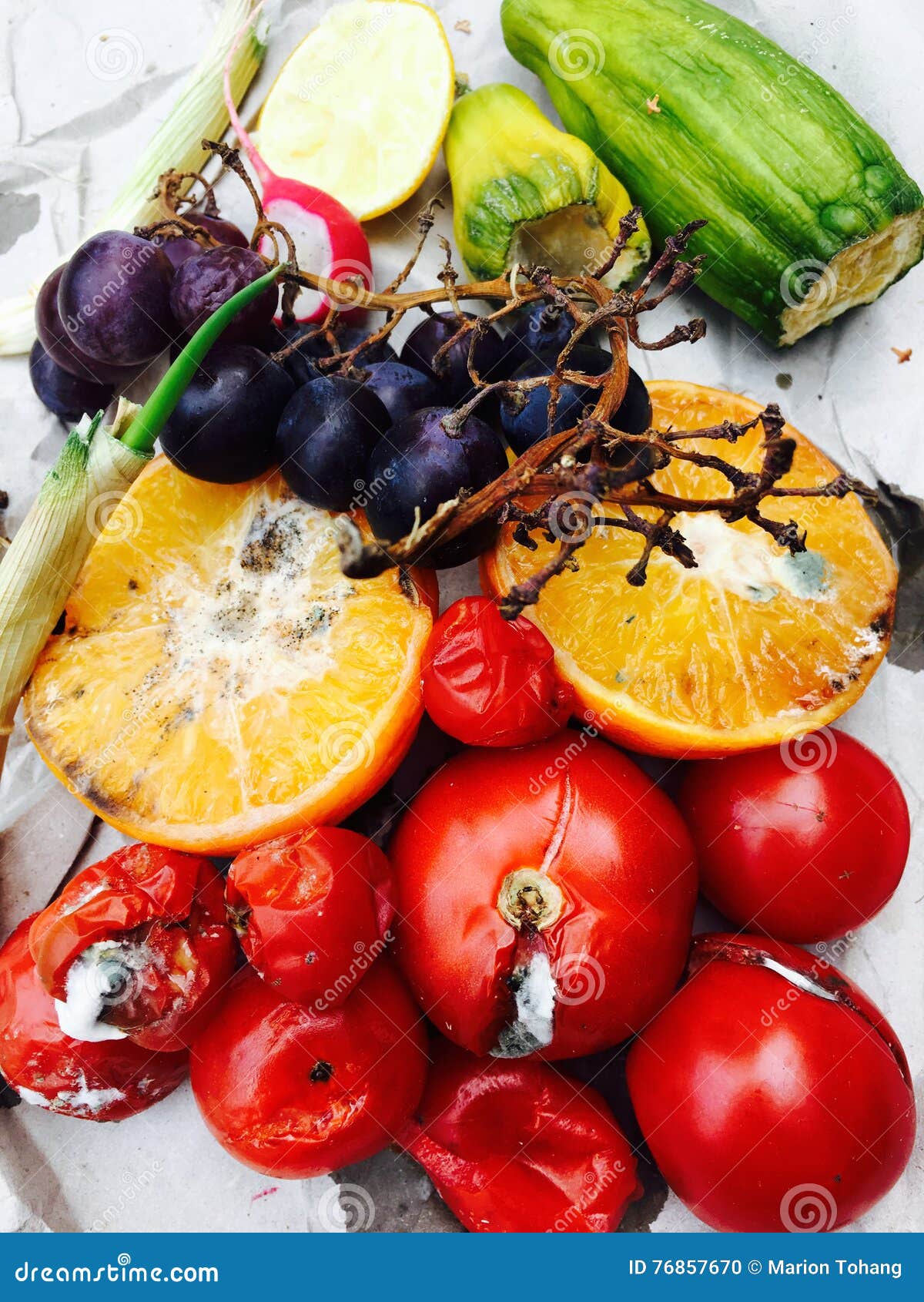 Different Sorts of Rotten Fruit and Vegetables Stock Photo - Image of ...