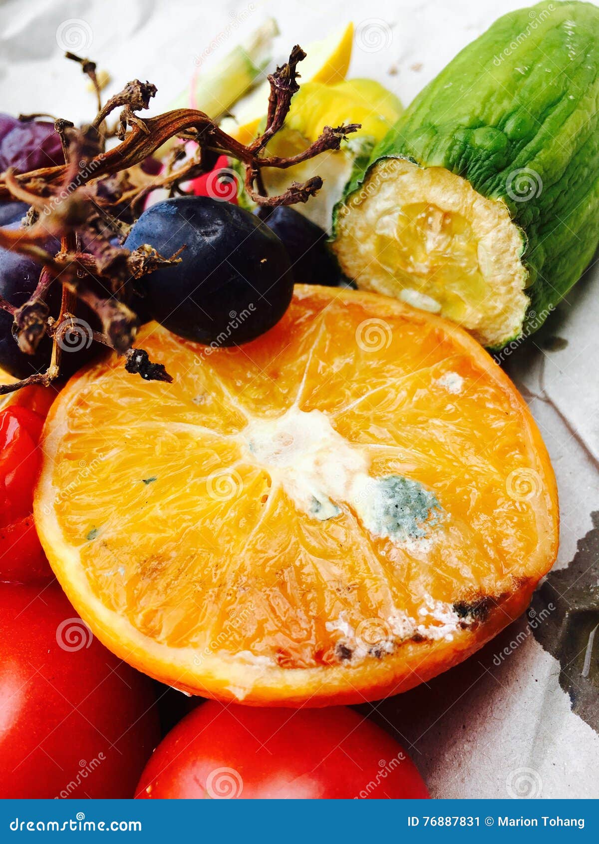 Different Sorts of Rotten Fruit and Vegetables Stock Image - Image of ...