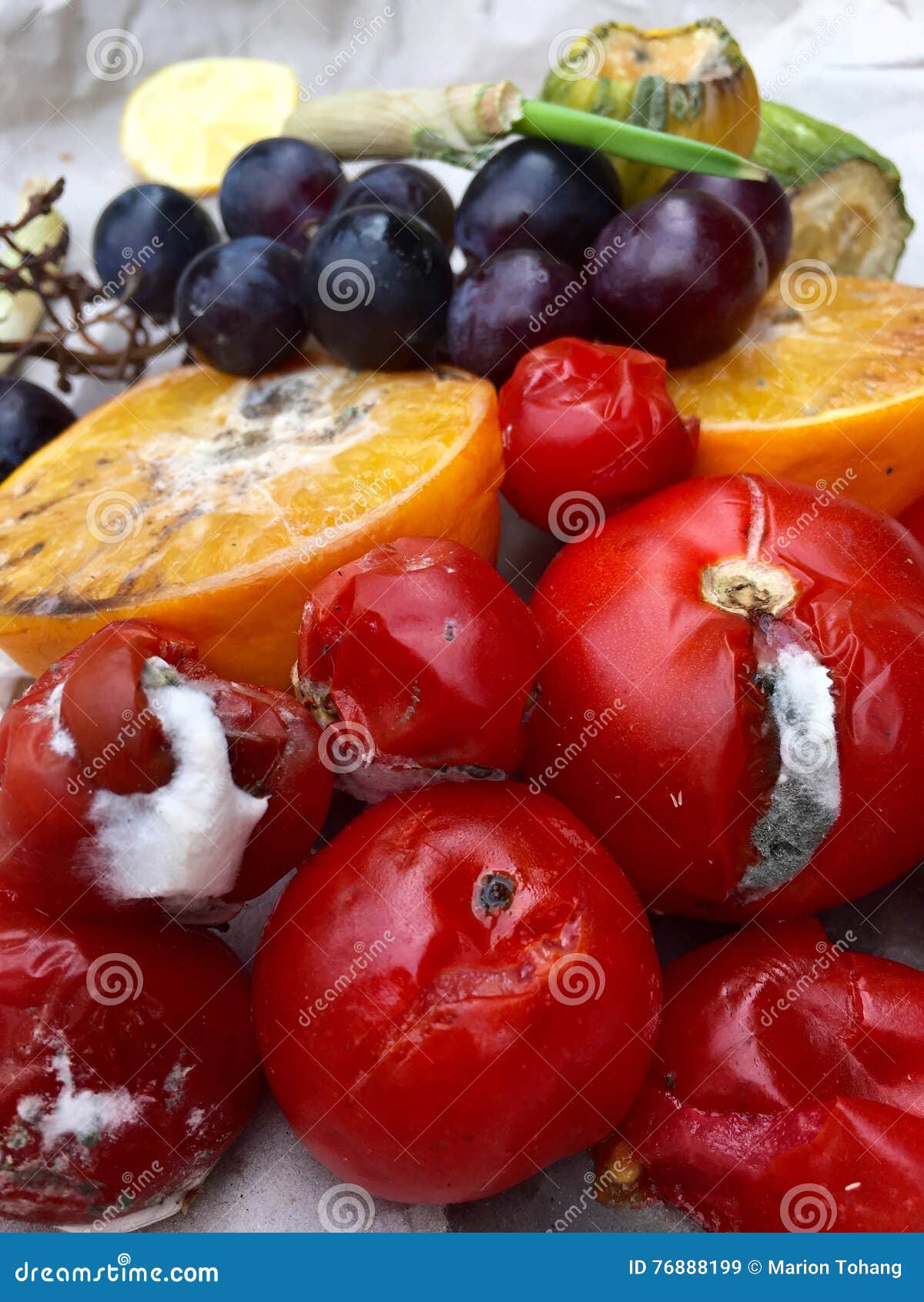 Different Sorts of Rotten Fruit and Vegetables Stock Image - Image of ...