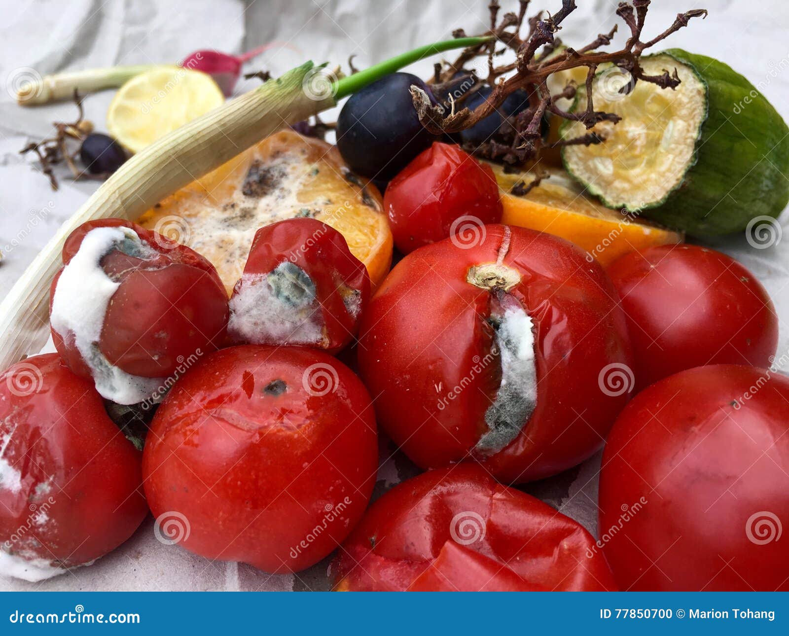 Different Sorts of Rotten Fruit and Vegetables Stock Photo - Image of ...