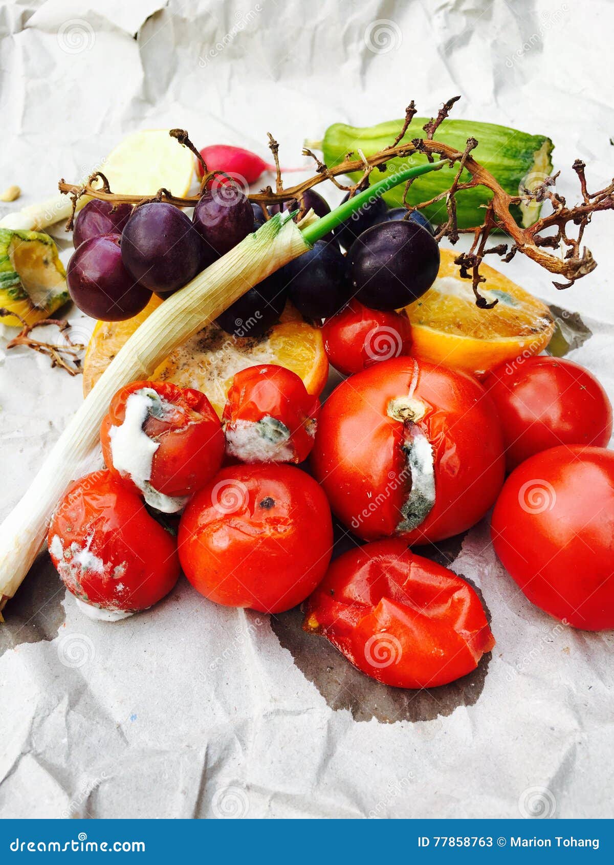 Different Sorts of Rotten Fruit and Vegetables Stock Image - Image of ...