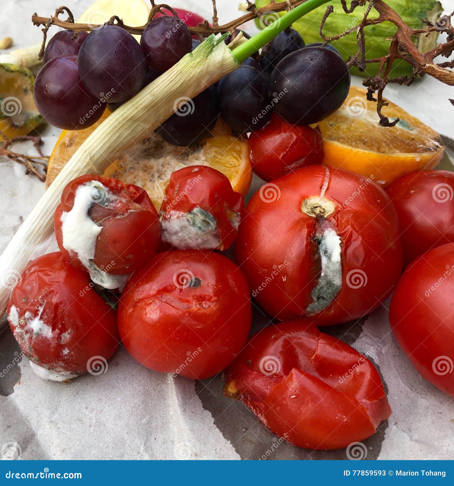 Different Sorts of Rotten Fruit and Vegetables Stock Image - Image of ...