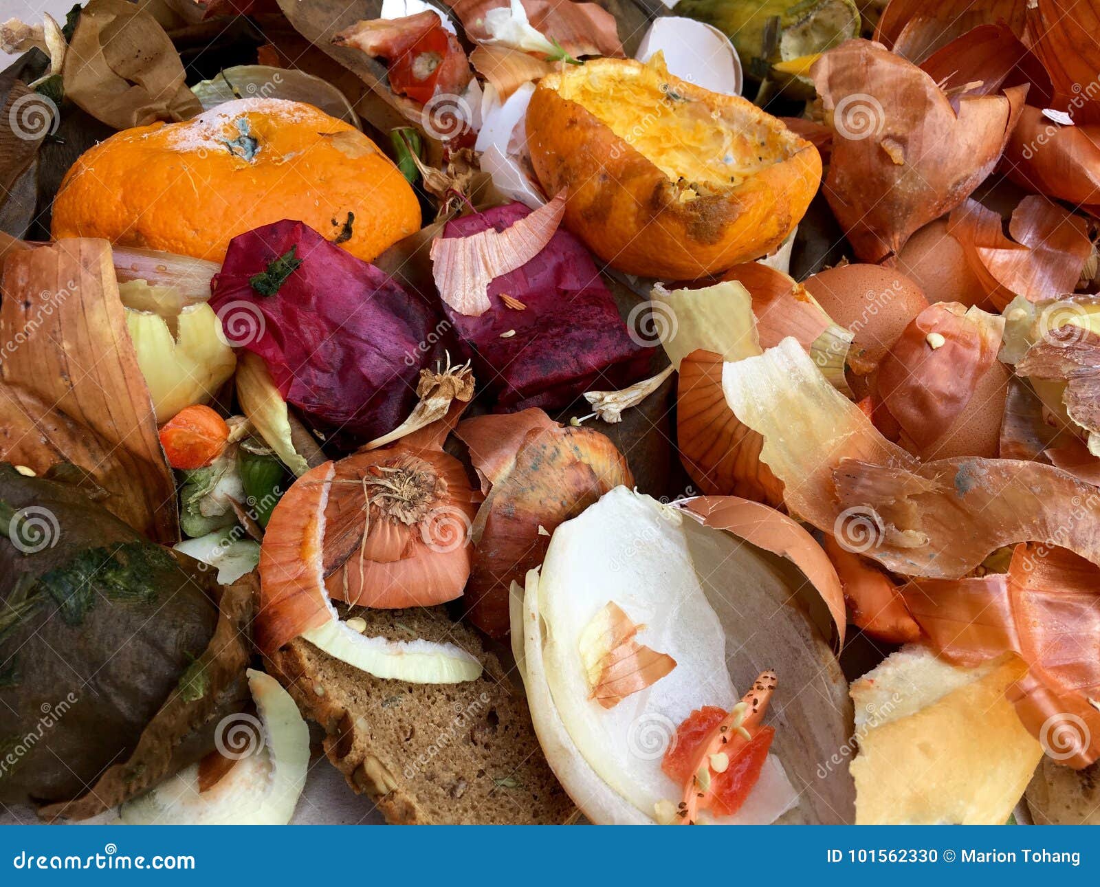 Different Sorts of Rotten Fruits and Vegetables Stock Photo - Image of ...