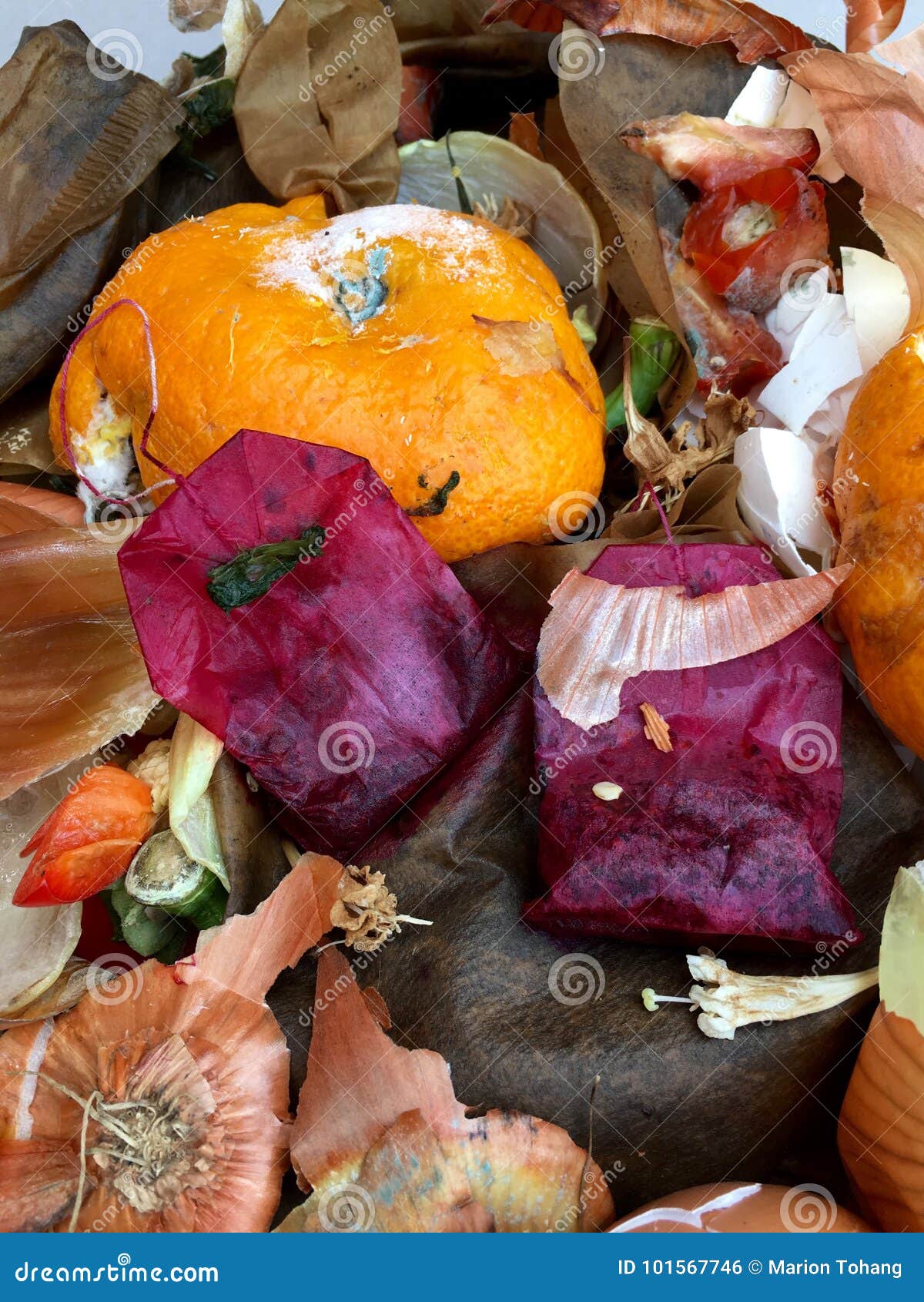 Different Sorts of Rotten Fruits and Vegetables Stock Photo - Image of ...