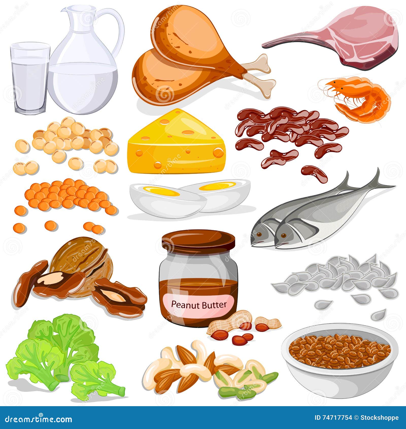 Different Sources of Protein Food Collection Stock Vector ... Different Sources of Protein Food Collection Stock Vector ...