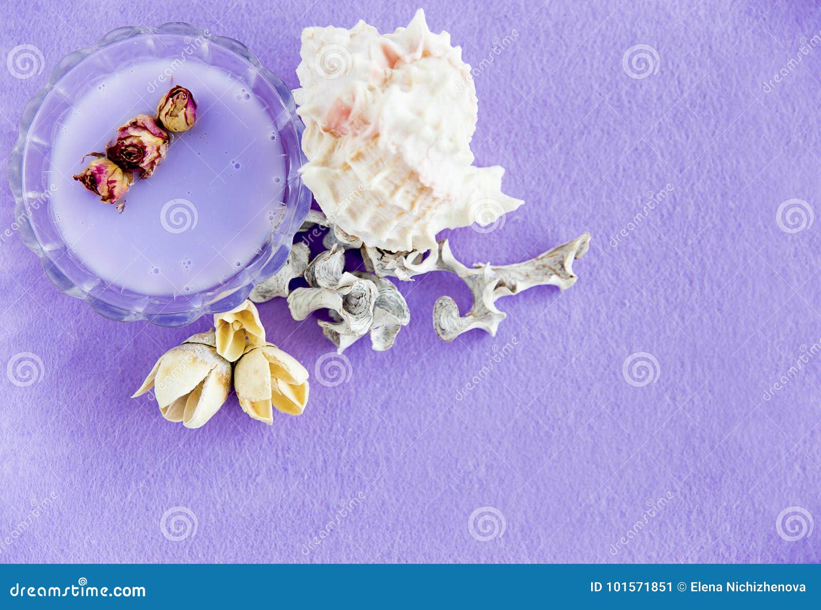 Different spa things stock image. Image of massage, freshness - 101571851