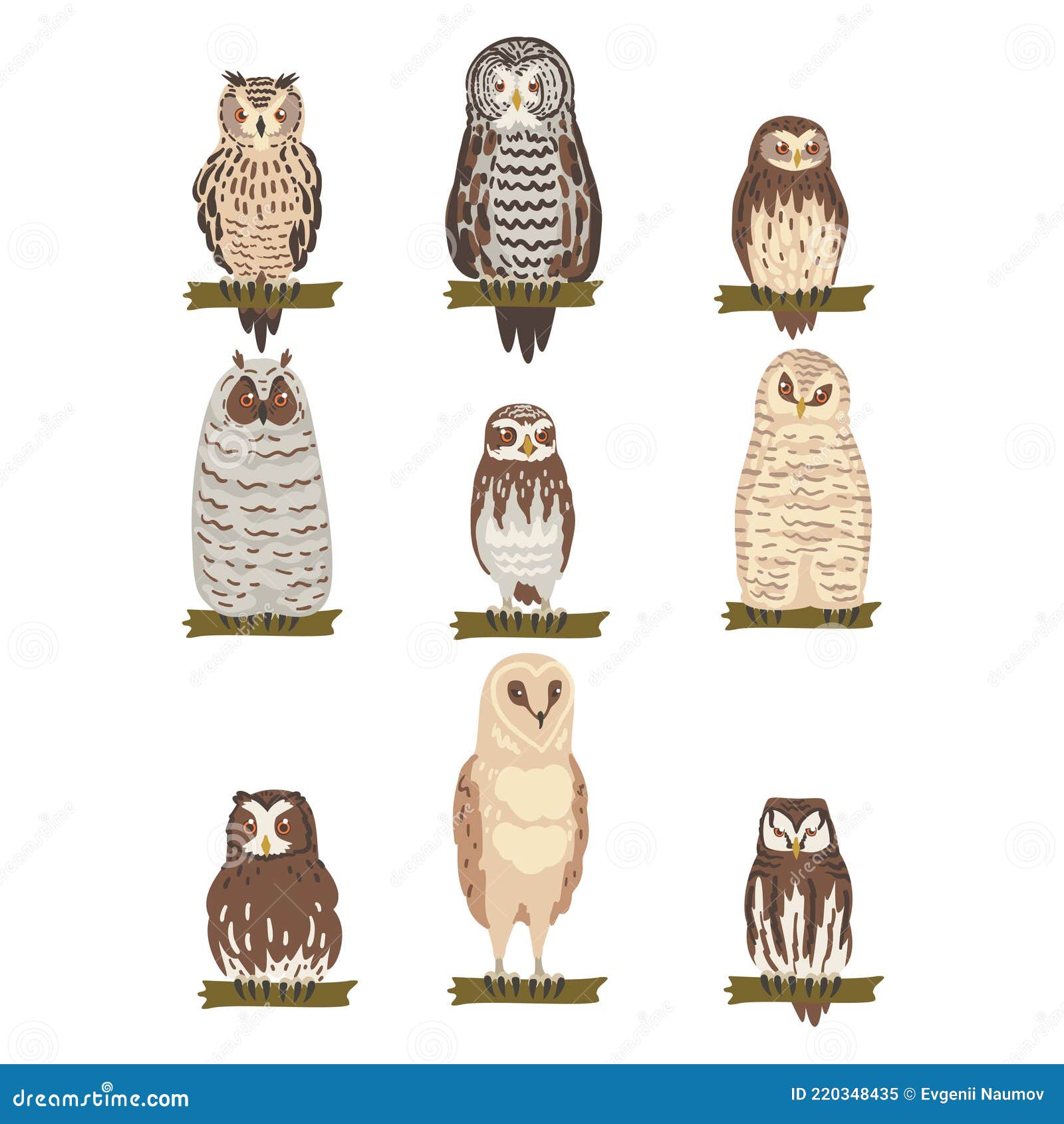 Different Specie of Owl As Nocturnal Bird of Prey with Hawk-like Beak ...