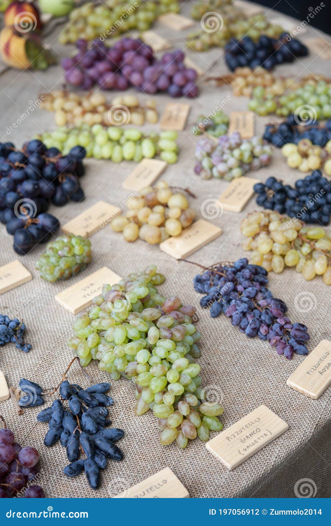 Different Species of Grape, on a Table. Varieties of Fruits and ...