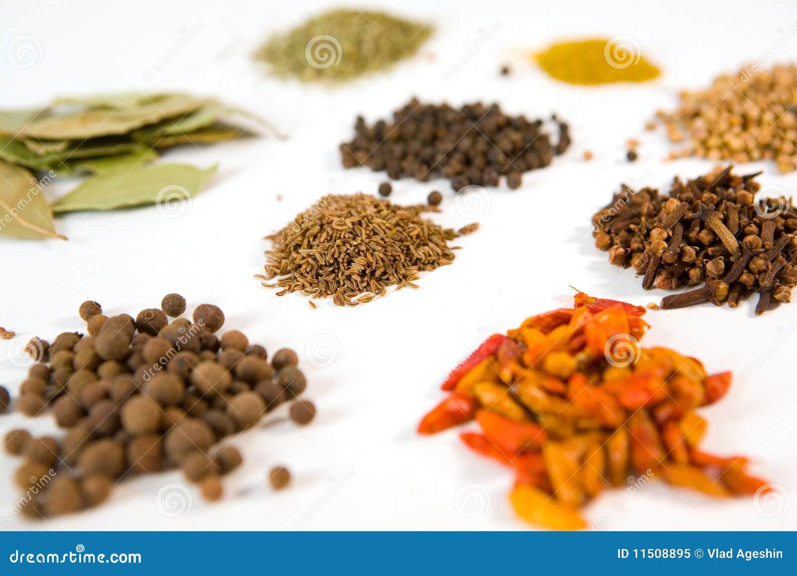 Different spices stock image. Image of gourmet, brown - 11508895