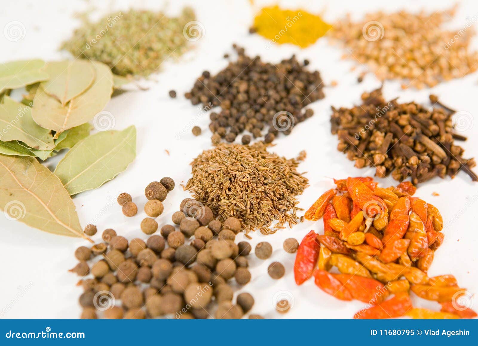 Different spices stock image. Image of powder, cardamom - 11680795