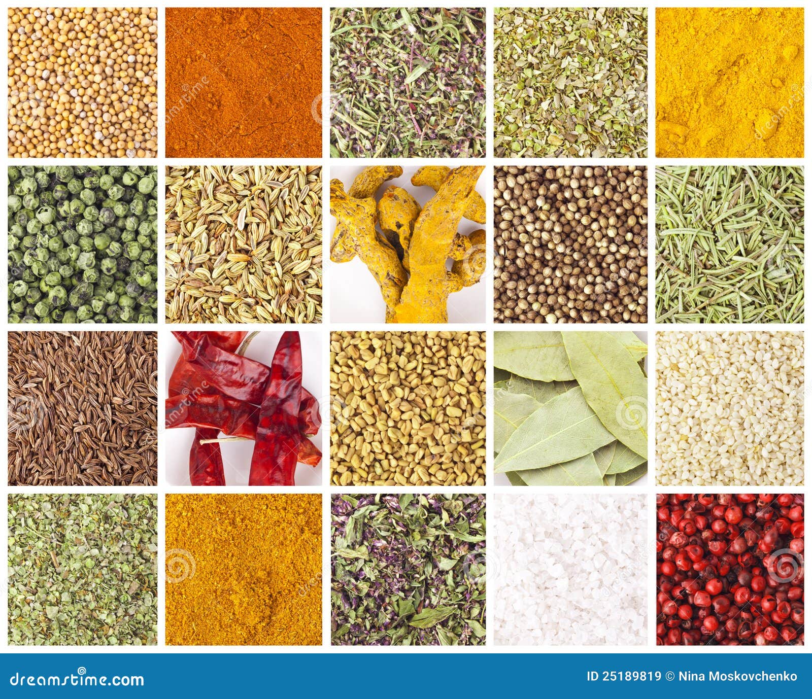 Different Spices Background Stock Image - Image of grain, poppy: 25189819