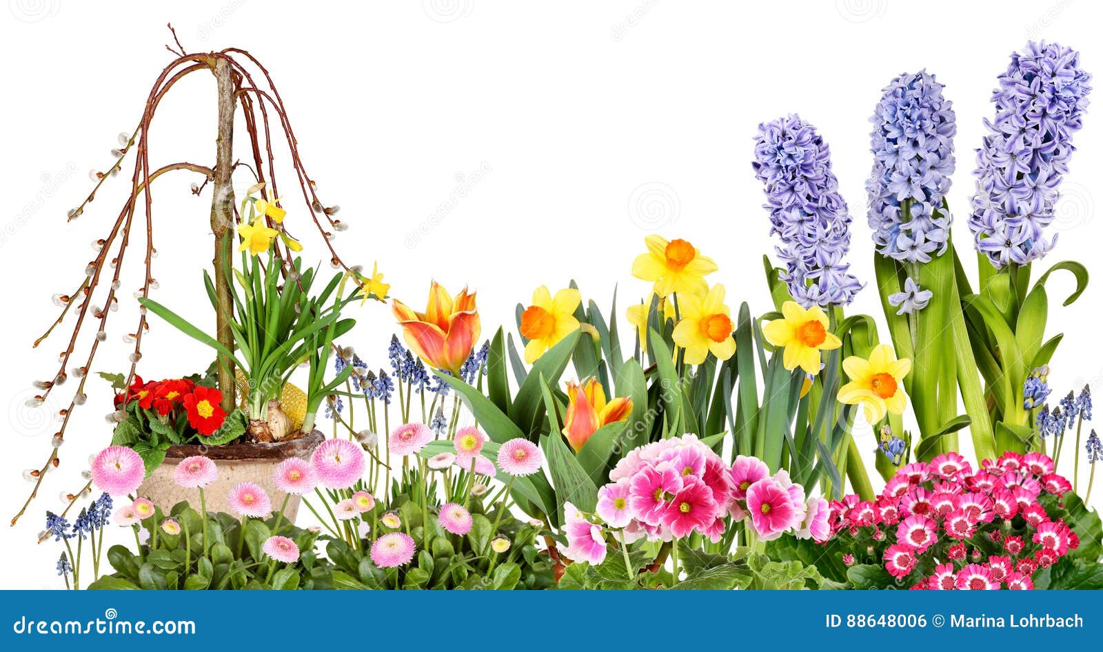 Different spring flowers stock photo. Image of garden - 88648006