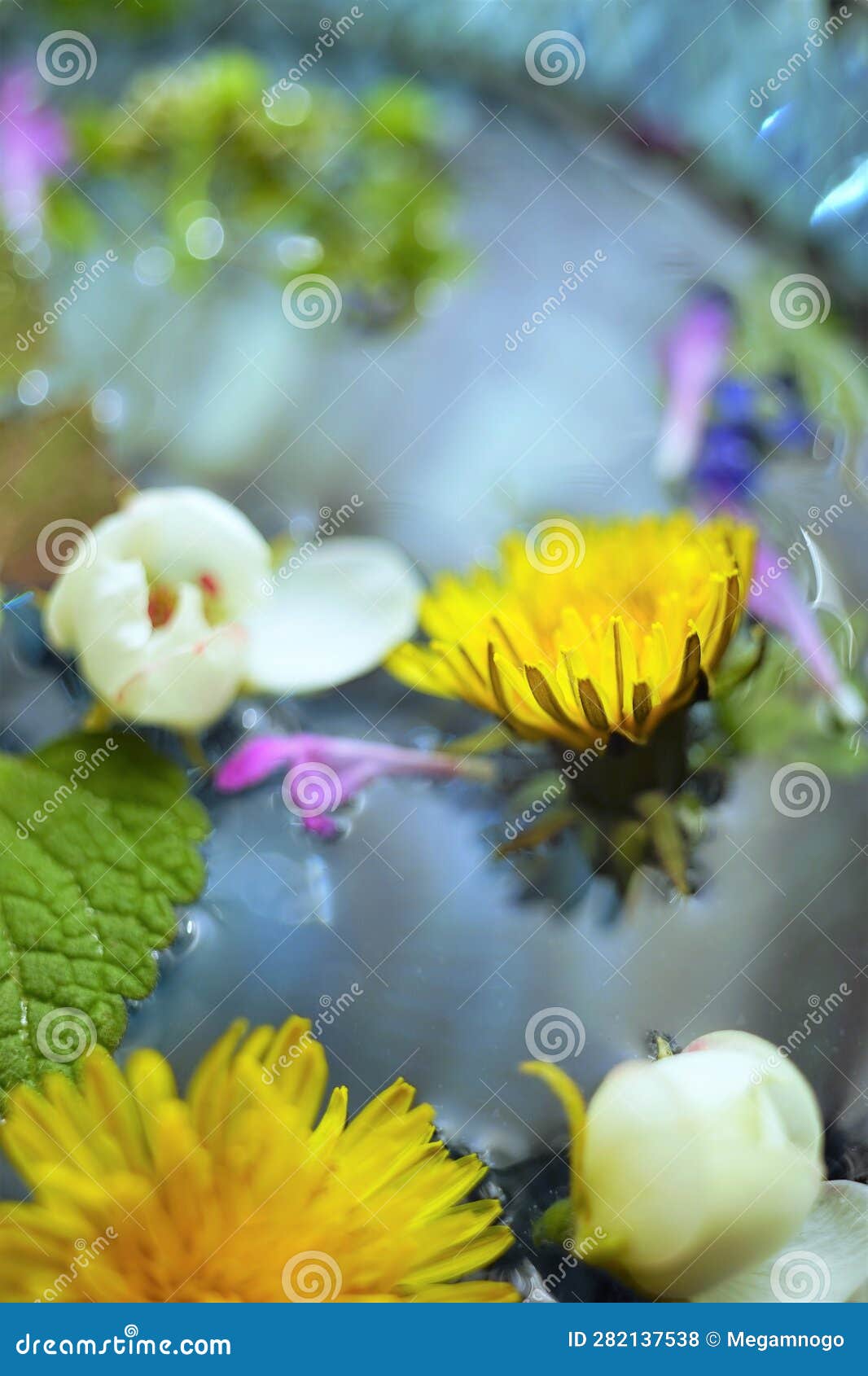 Different Spring Flowers with Green Leaves Float in the Water of a Blue ...