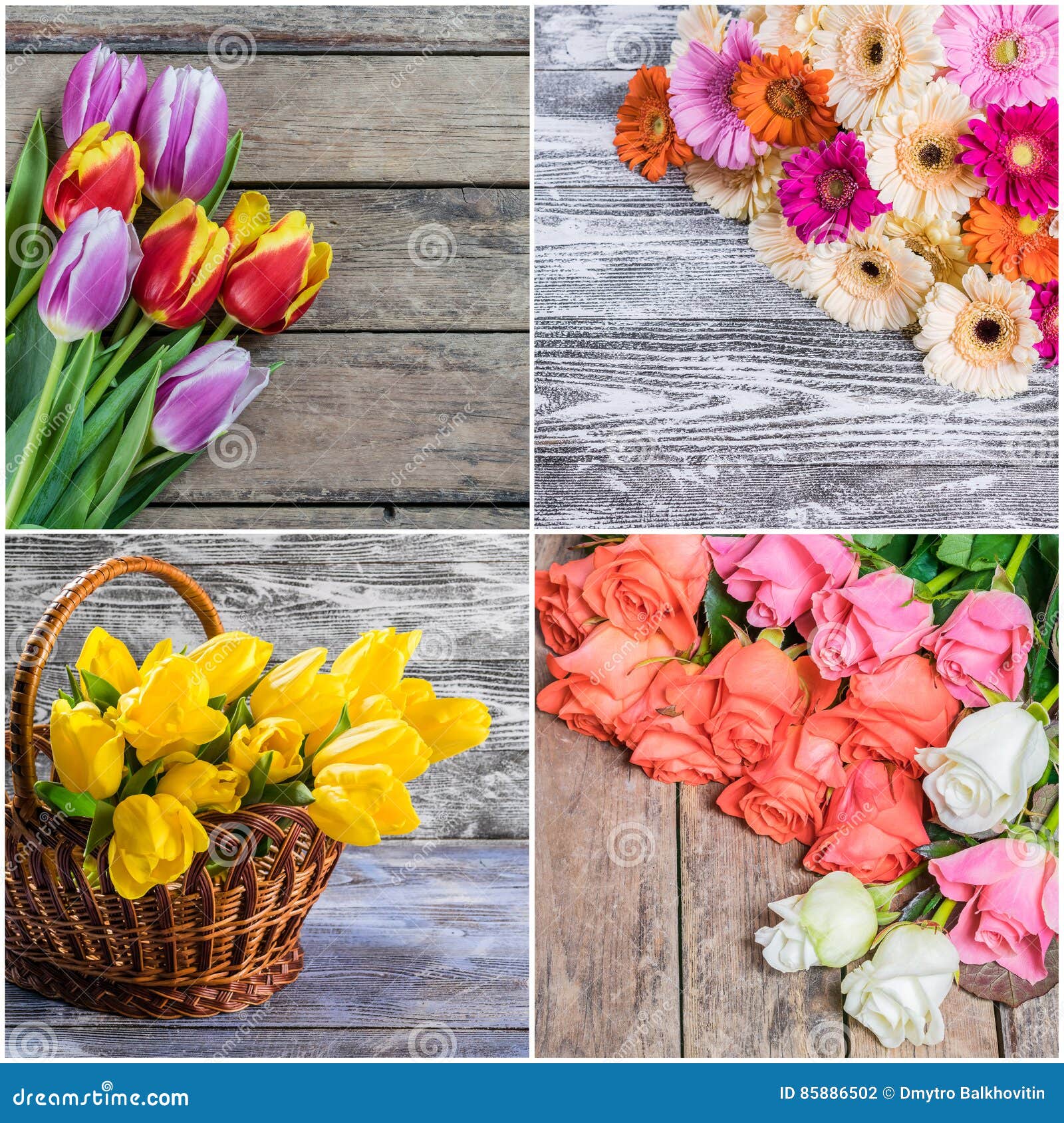 Different Spring Flowers stock photo. Image of gift, selective - 85886502