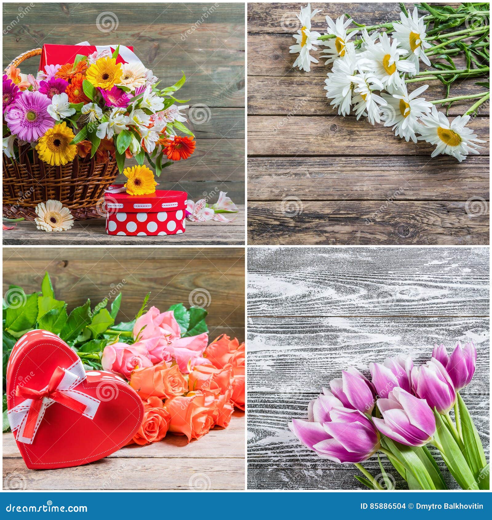 Different Spring Flowers stock photo. Image of pink, birthday - 85886504