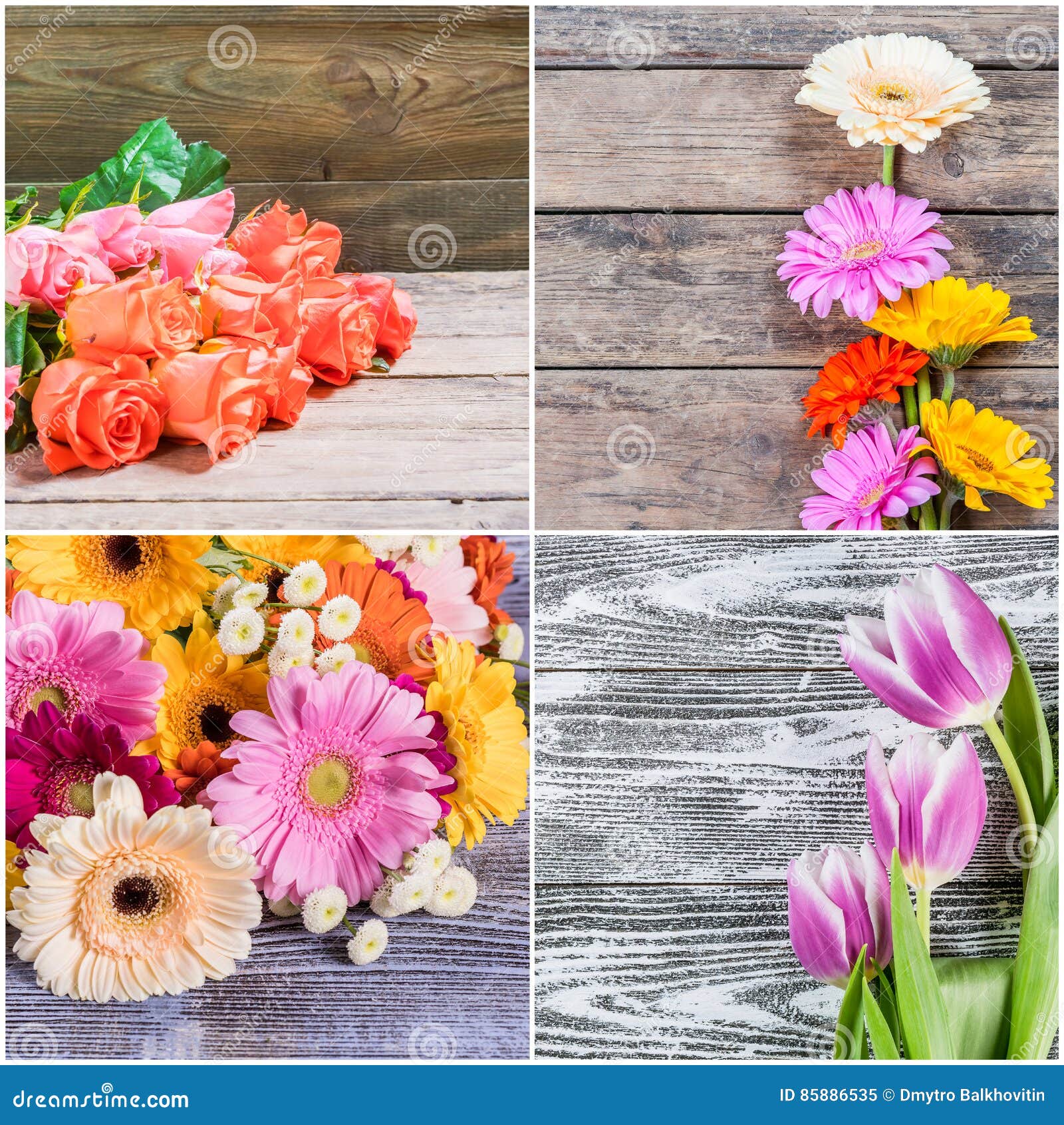 Different Spring Flowers stock image. Image of selective - 85886535