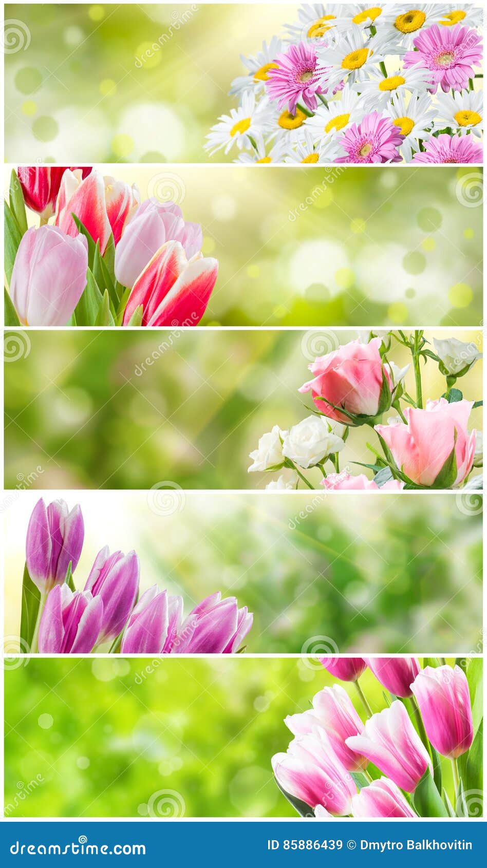 Different Spring Flowers stock image. Image of decor - 85886439