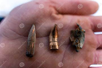 Different Stages and Forms of Bullets after Been Shot - Bent and ...