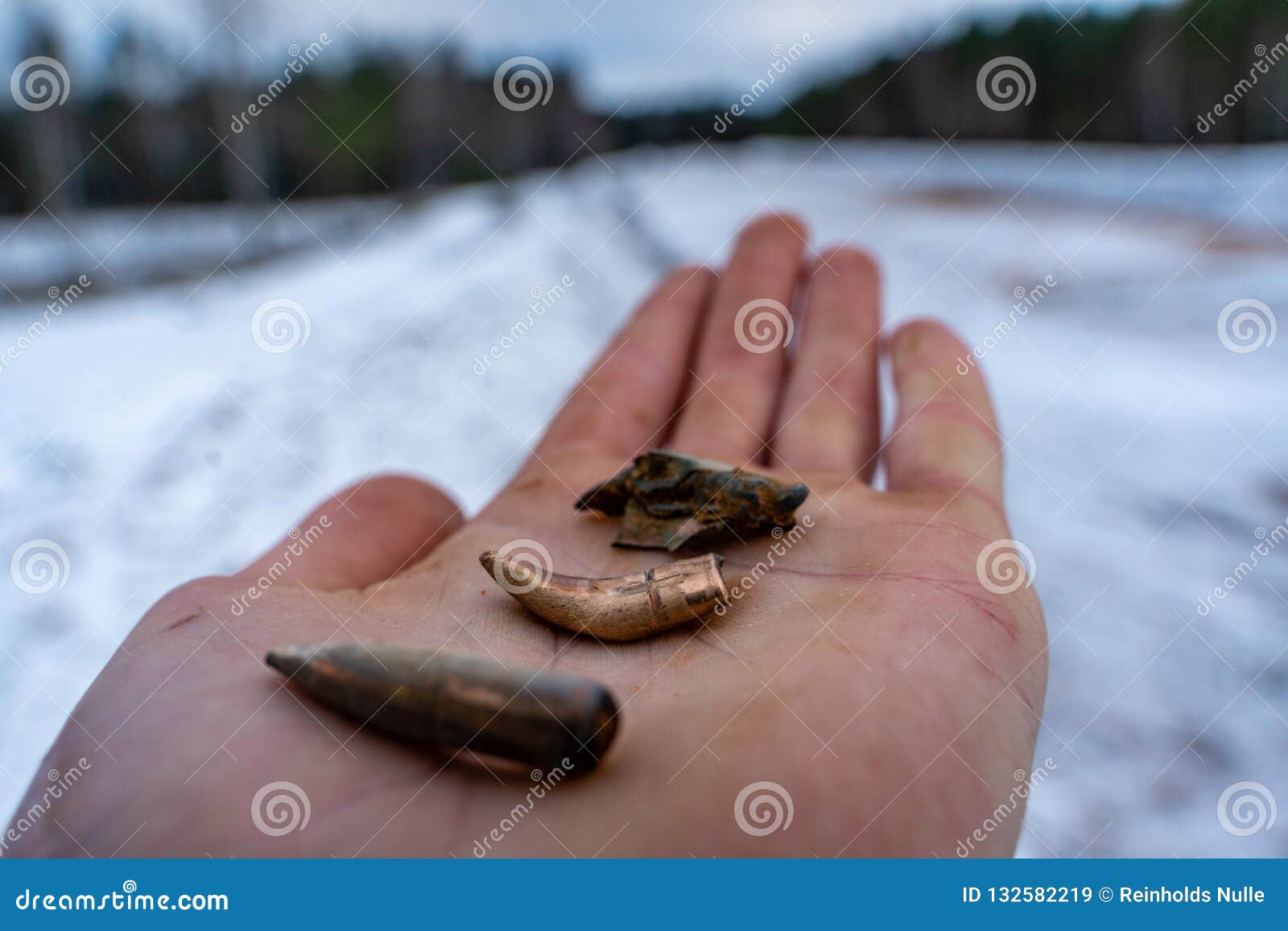 Different Stages and Forms of Bullets after Been Shot - Bent and ...