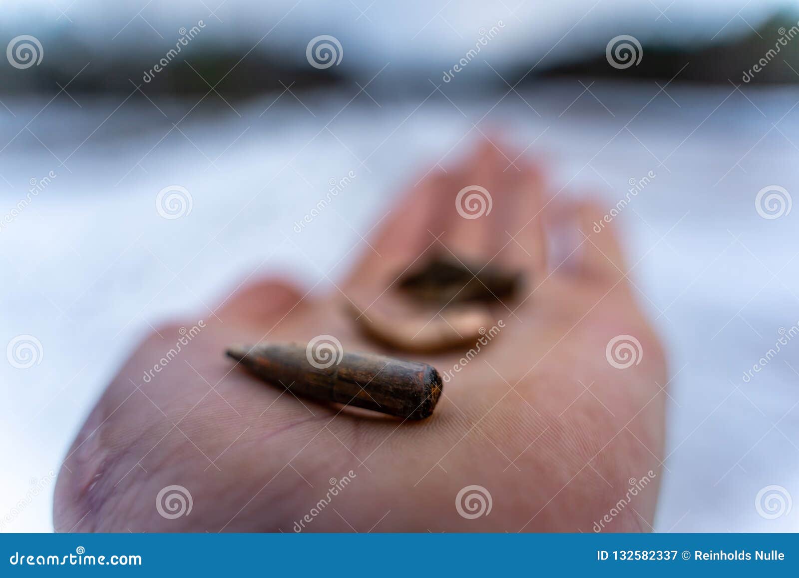 Different Stages and Forms of Bullets after Been Shot - Bent and ...