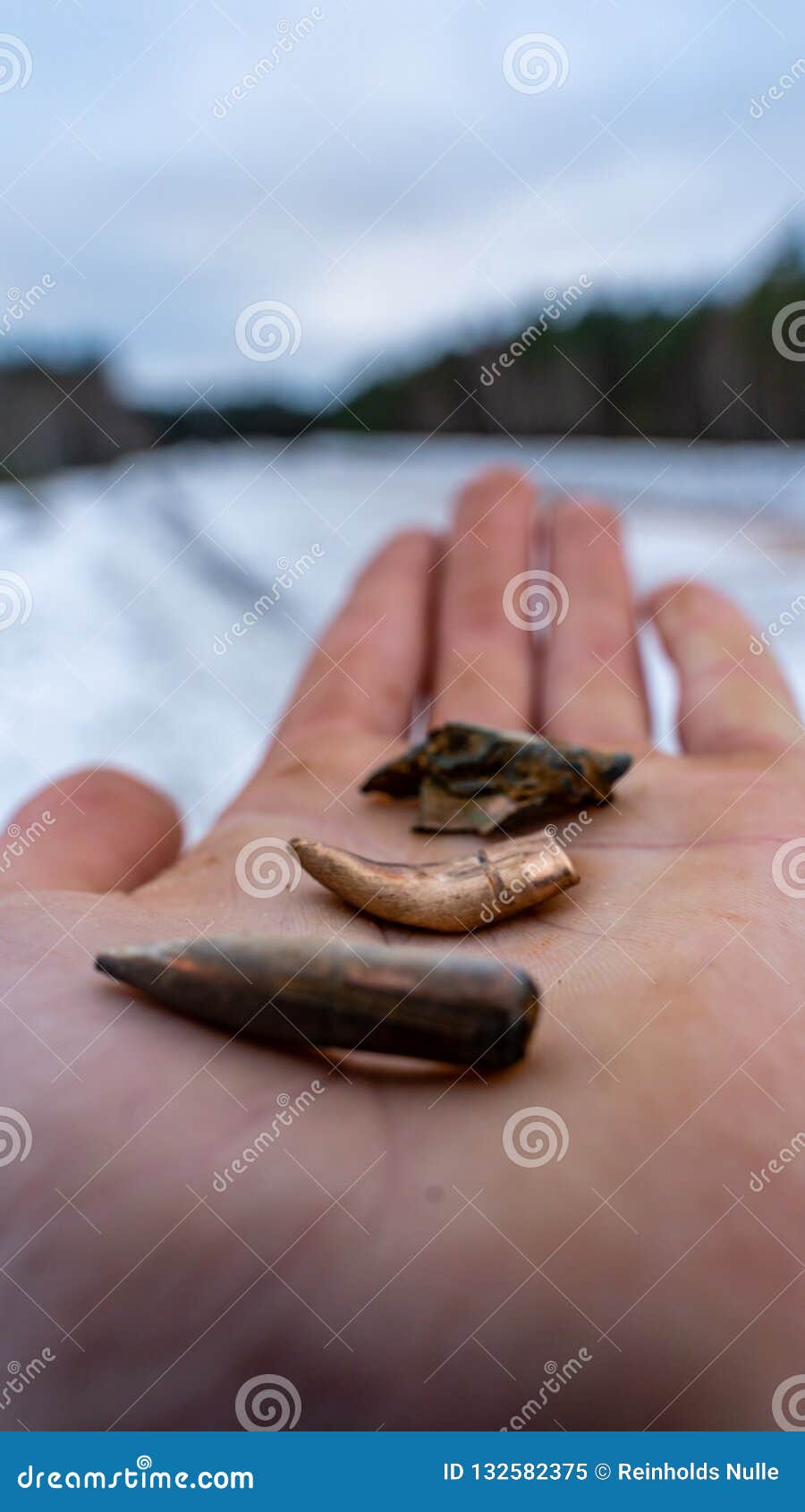 Different Stages and Forms of Bullets after Been Shot - Bent and ...