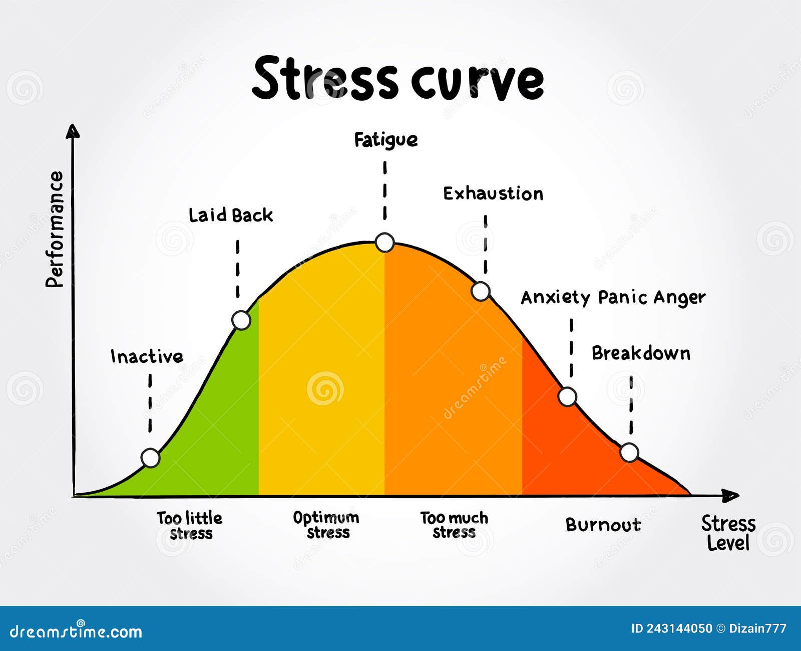 Different Stages of the Stress Curve, Educational Diagram Concept for ...