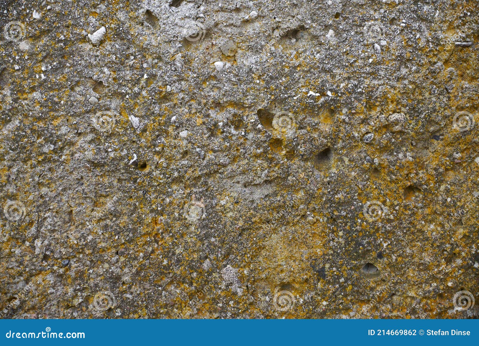 Different Stone Ground Cover Pattern Stock Photo - Image of wedding ...