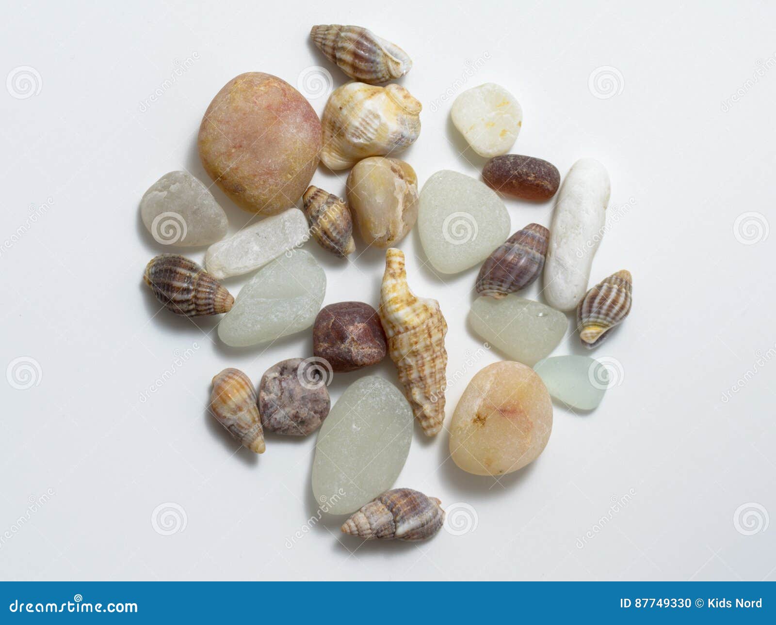 Different Stones and Shells on White Background. Stock Photo - Image of ...