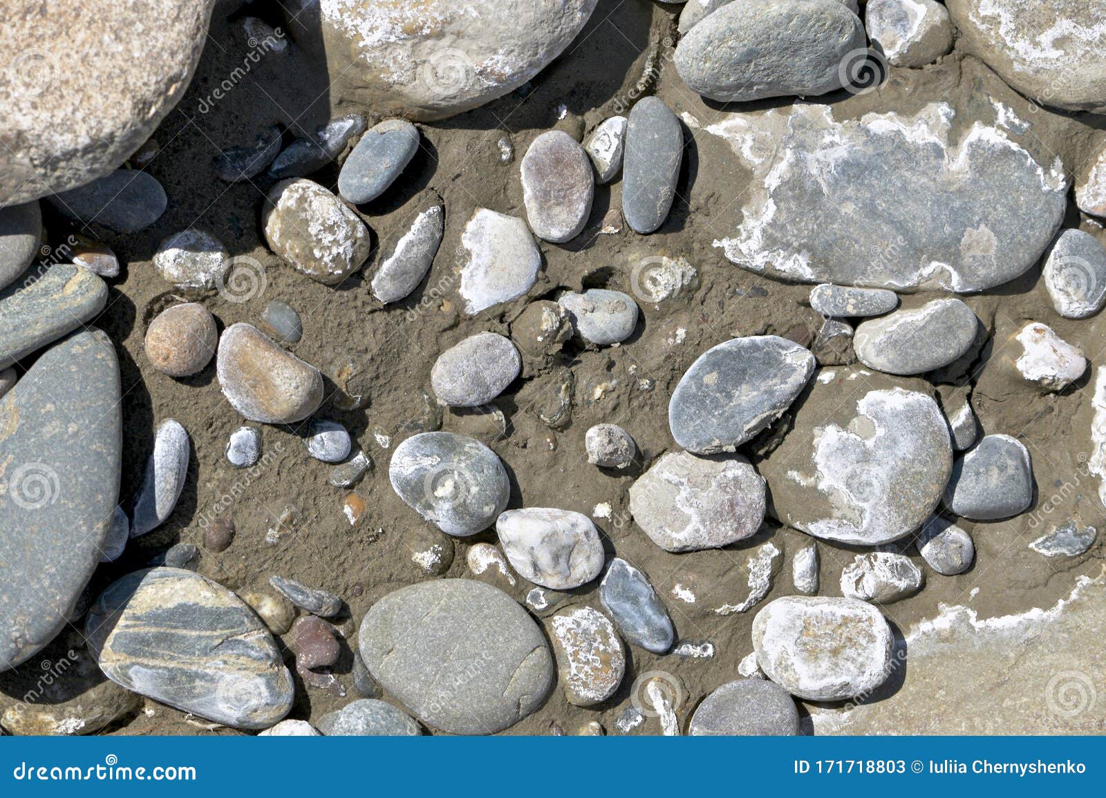 Different Stones on Wet River Sand Mixed with Silt Stock Image - Image ...