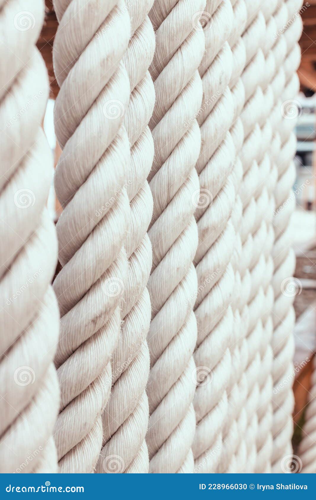 Strong White Ropes Weigh Upright on White Background Stock Photo ...