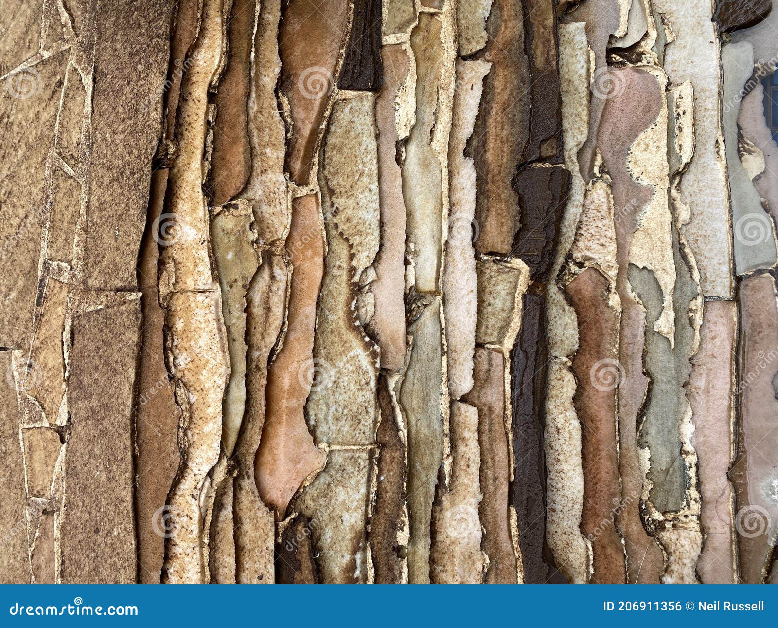 Graded Steps Stock Photos - Free & Royalty-Free Stock Photos from ...