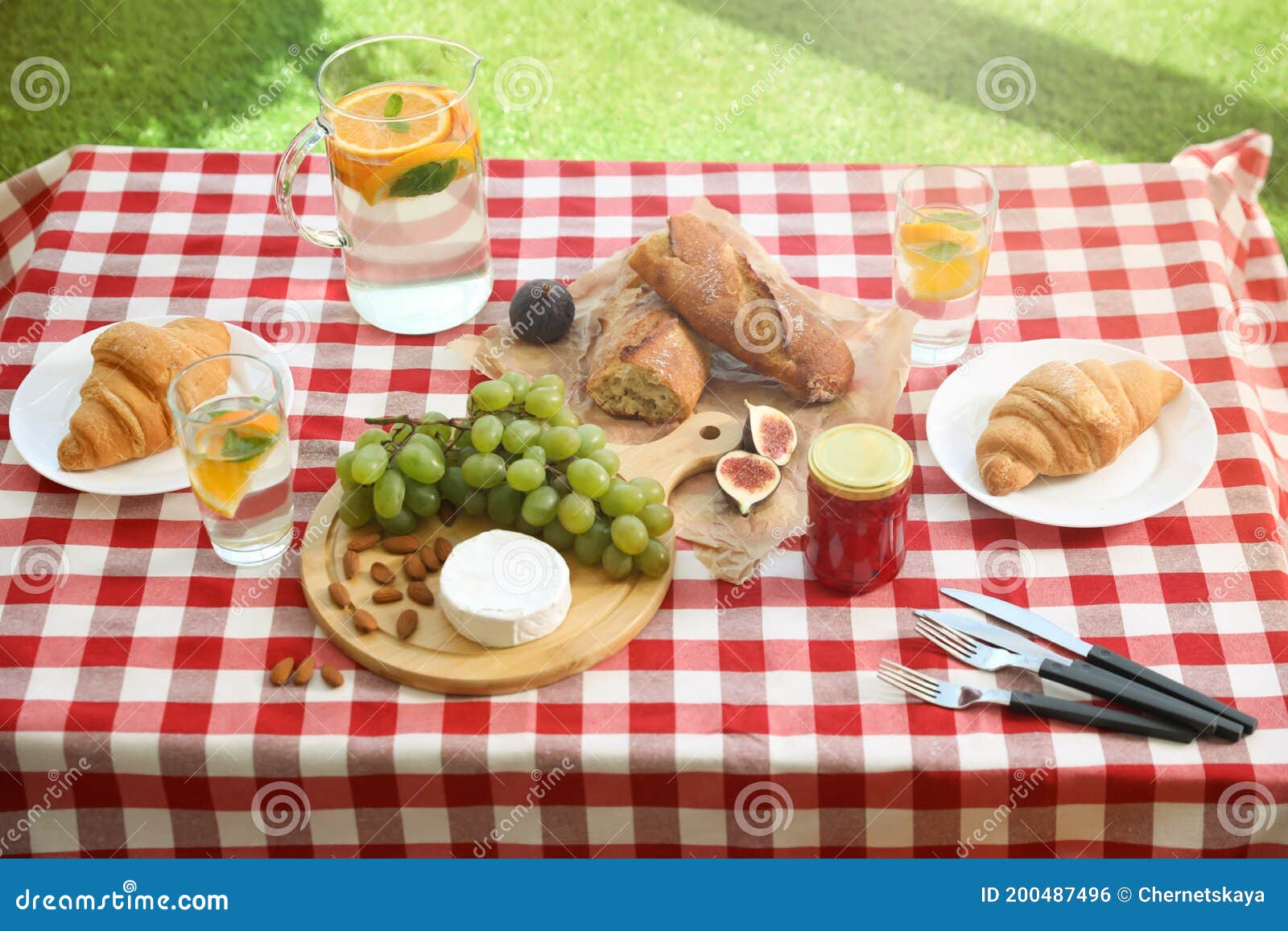 Different Tasty Food and Lemonade on Picnic Blanket Stock Photo - Image ...