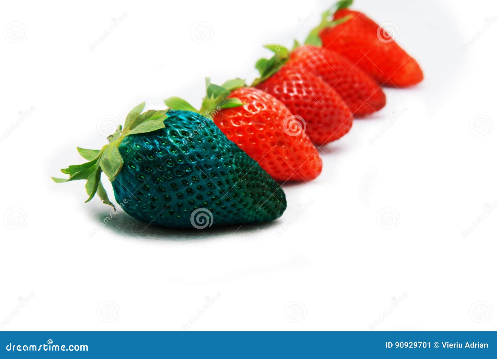 Blue Strawberry Genetically Modified Blue Strawberries Stock Photos,