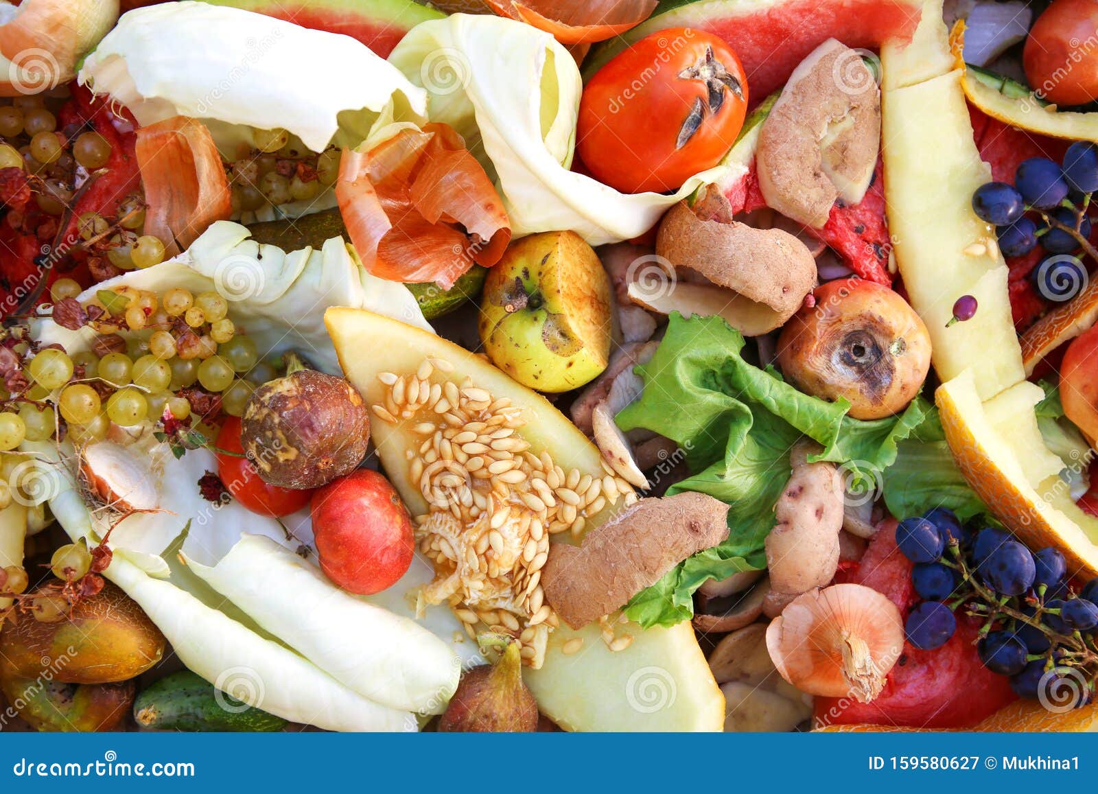 Garbage Sorting. Organic Food Waste From Vegetable Ready For Recycling ...