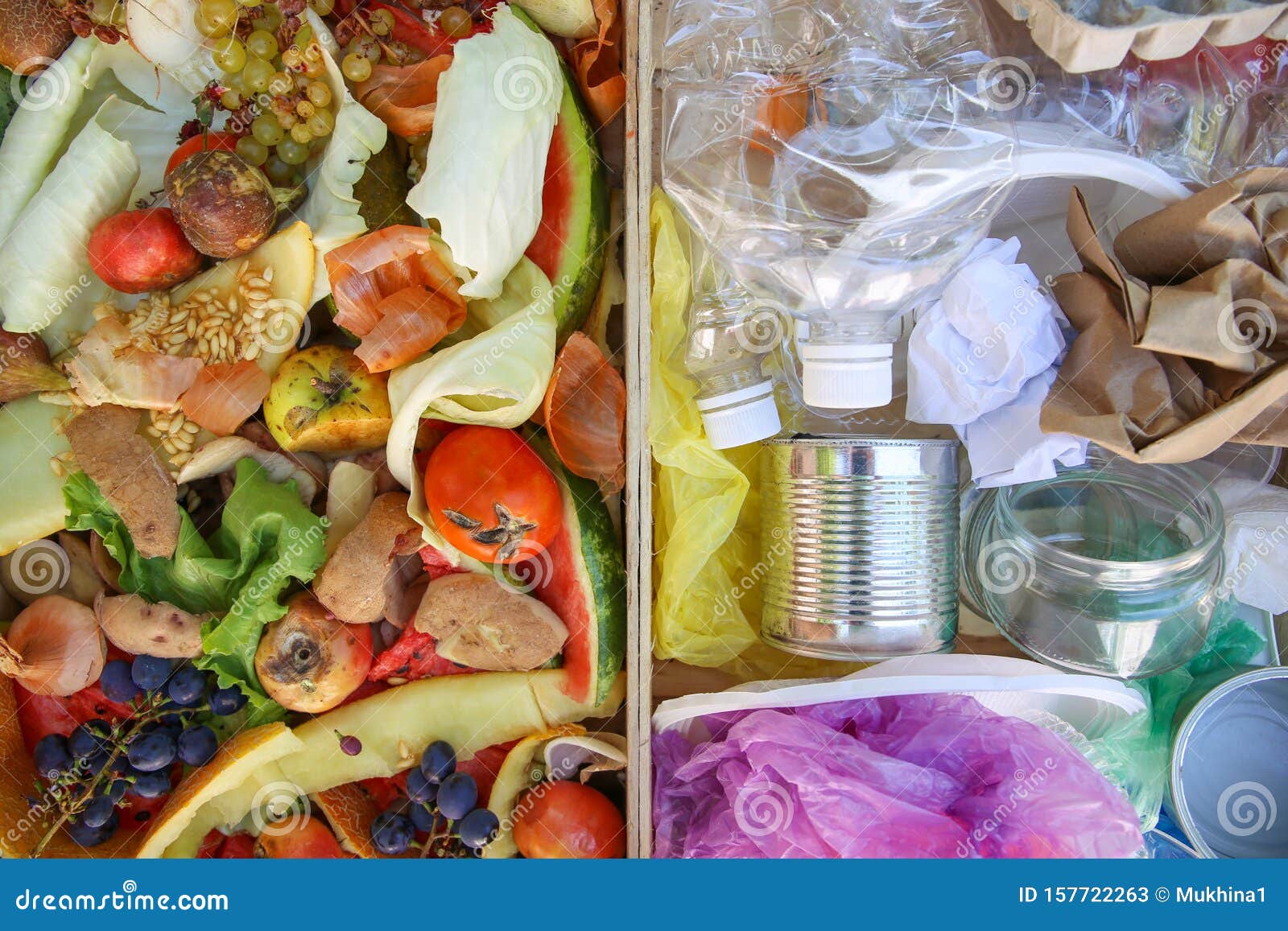 Different Trash. Garbage Sorting Stock Image - Image of fertilizer ...