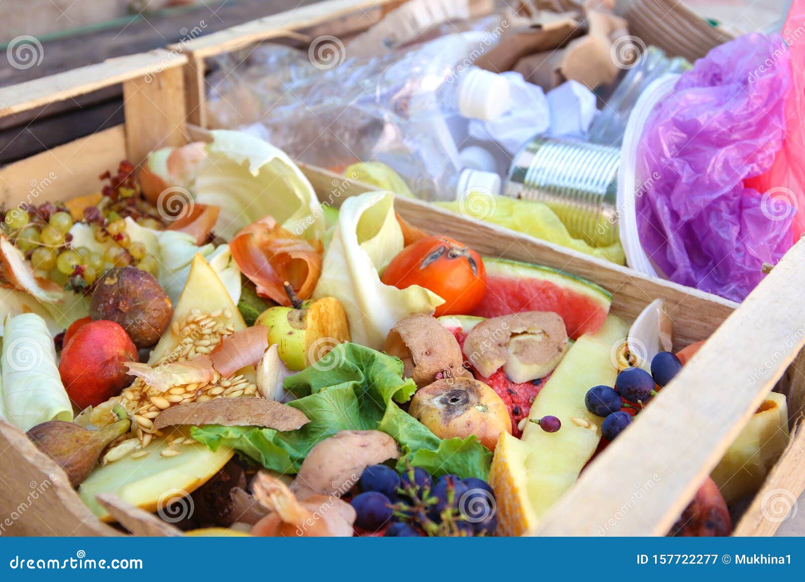 Garbage Sorting. Organic Food Waste From Vegetable Ready For Recycling ...