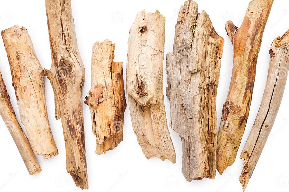 Tree Sticks Isolated on White Background Stock Photo - Image of rural ...