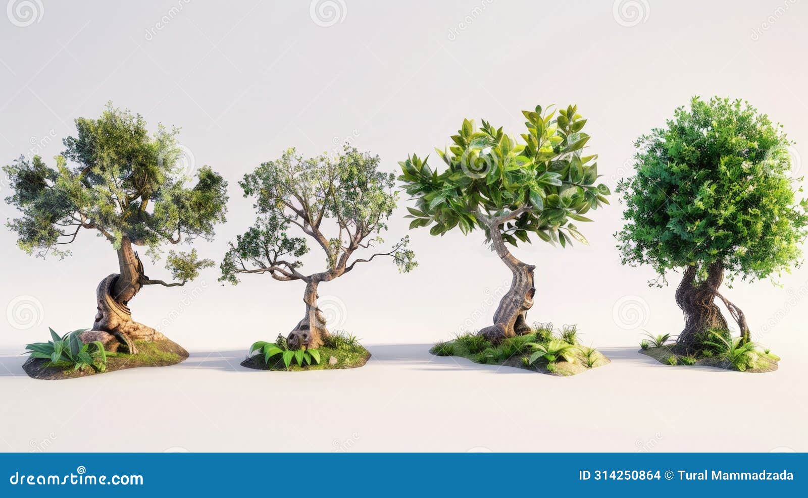 Different trees in a row stock photo. Image of birch - 314250864