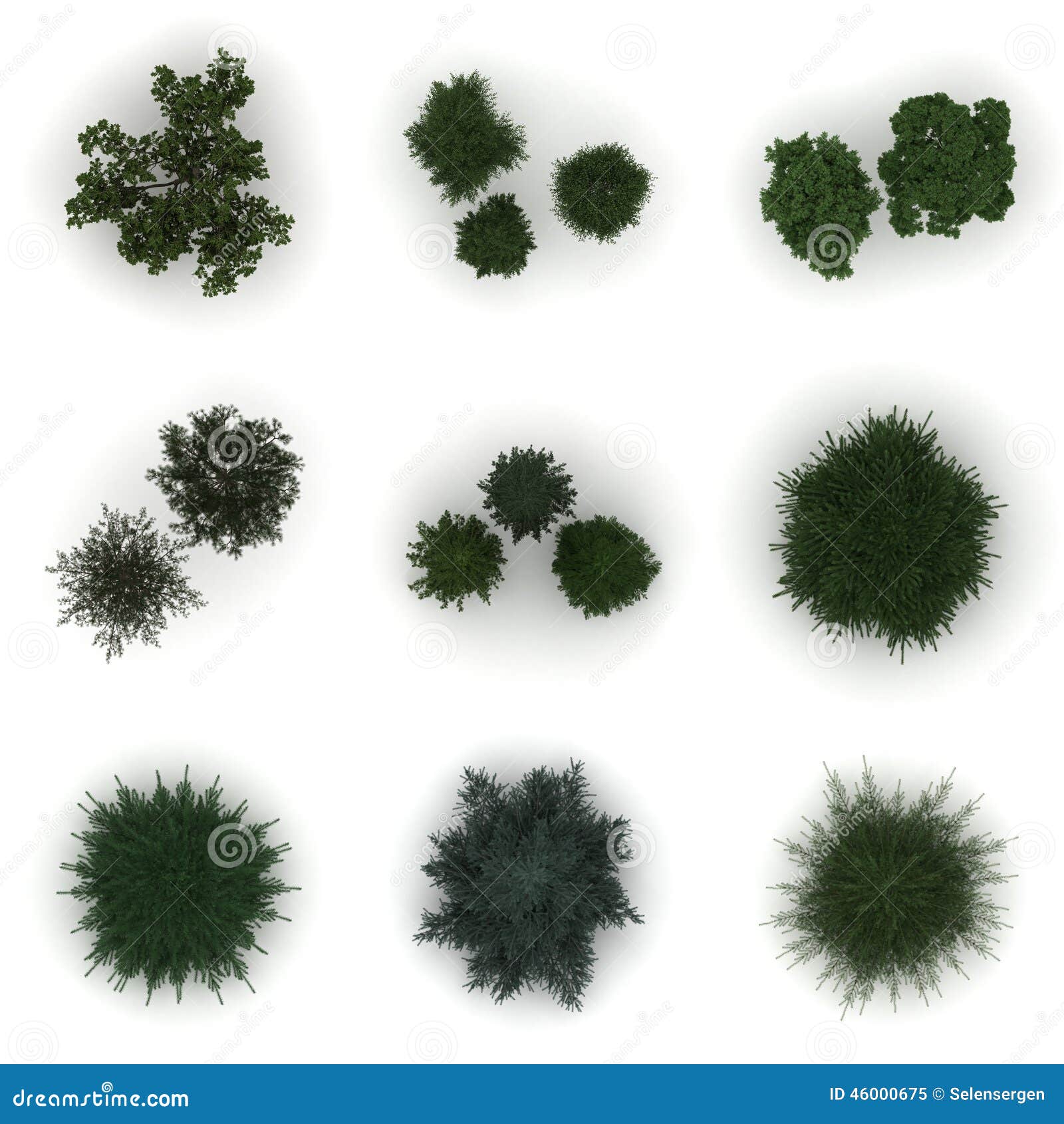 Different Trees from Top View Stock Illustration - Illustration of ...