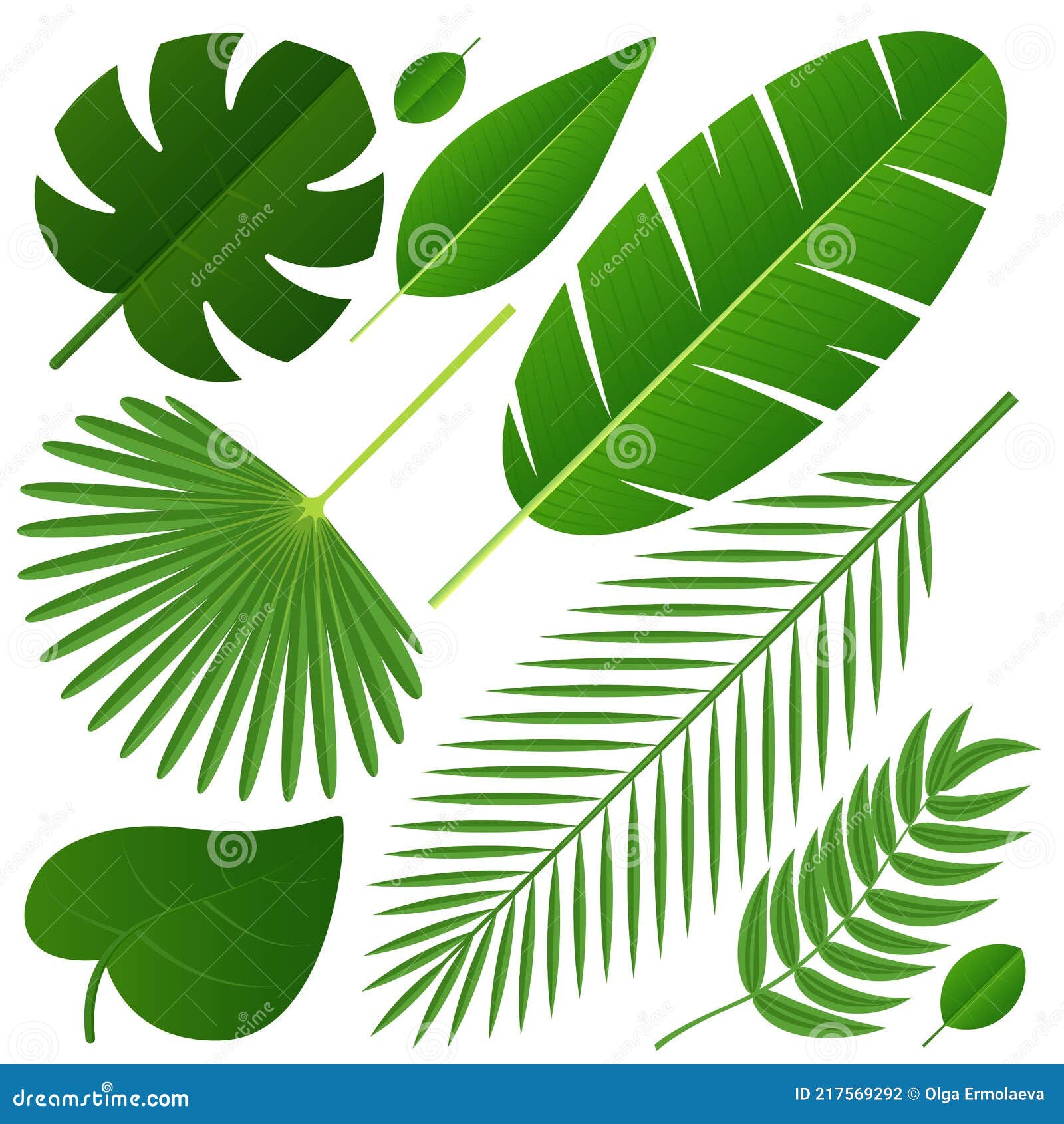 Banaba Island Republic Of Kiribati, Pacific Ocean Map Vector ...