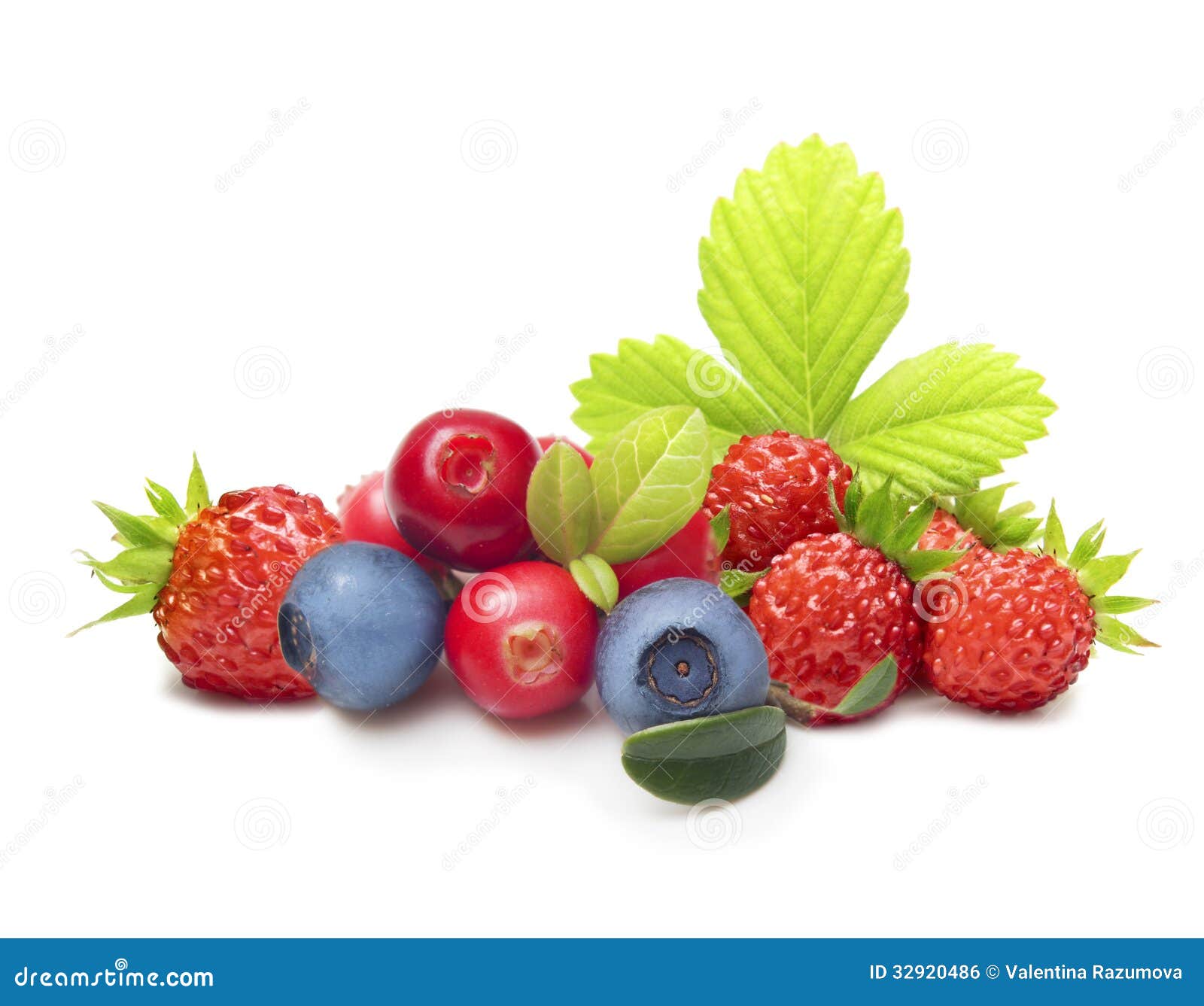 Different Type of Berry Fruits Isolated Stock Photo - Image of ...