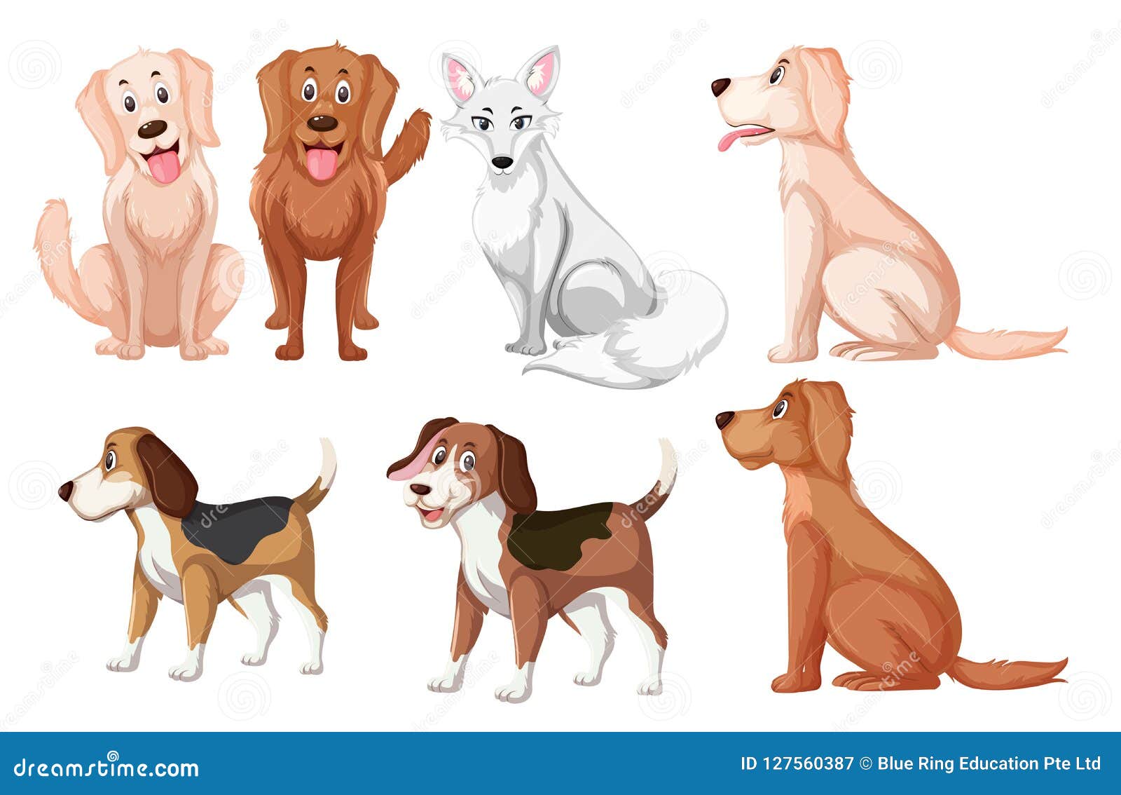 How Many Types Of Dog Are There