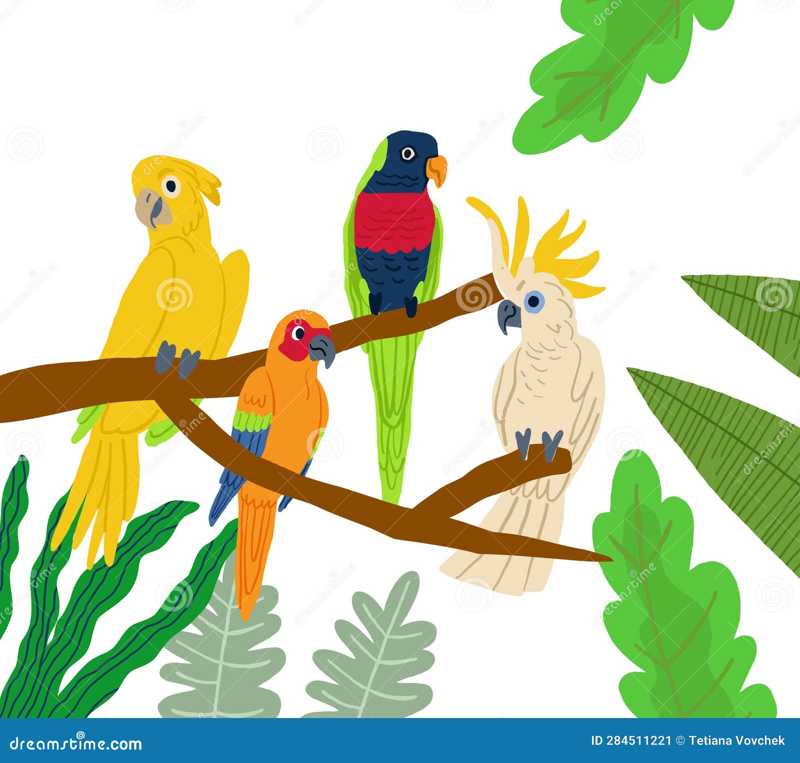Different Type of Exotic Birds. Vector Flat Cartoon Graphic Design ...