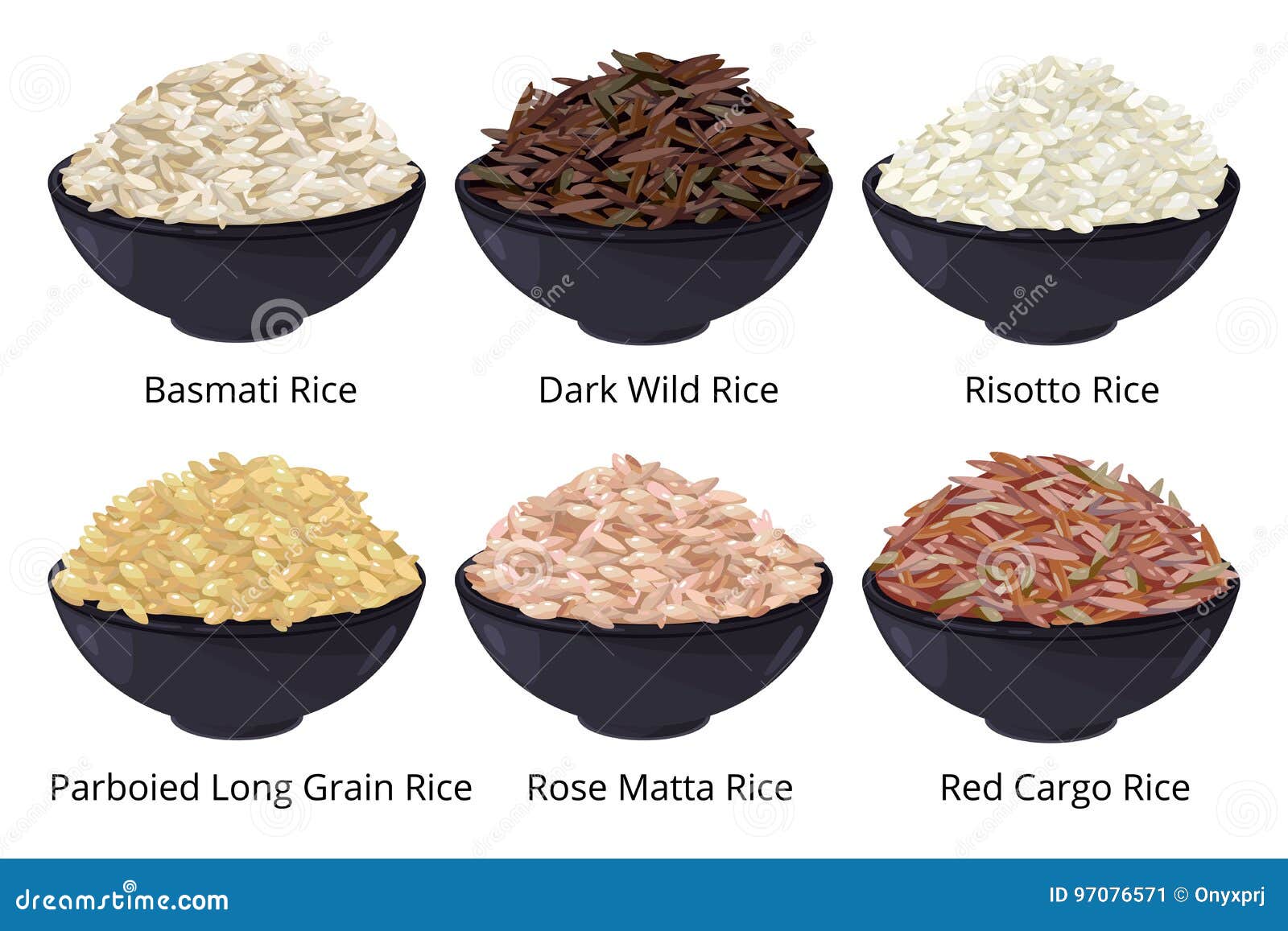 Rice Grain Vector Illustration. Labeled Educational Structure ...