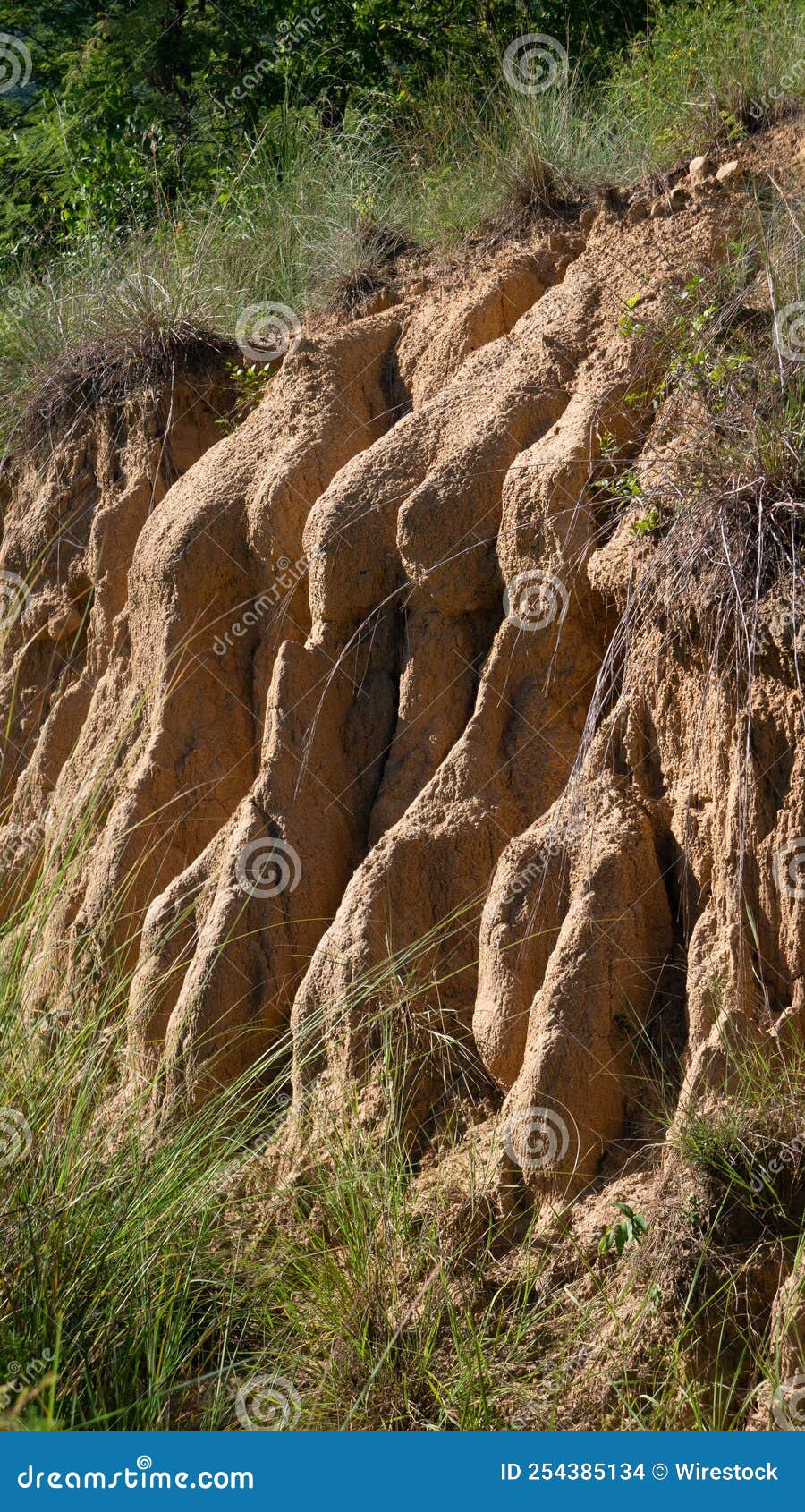 Different Type Shapes of Mud Stock Photo - Image of erosion, natural ...