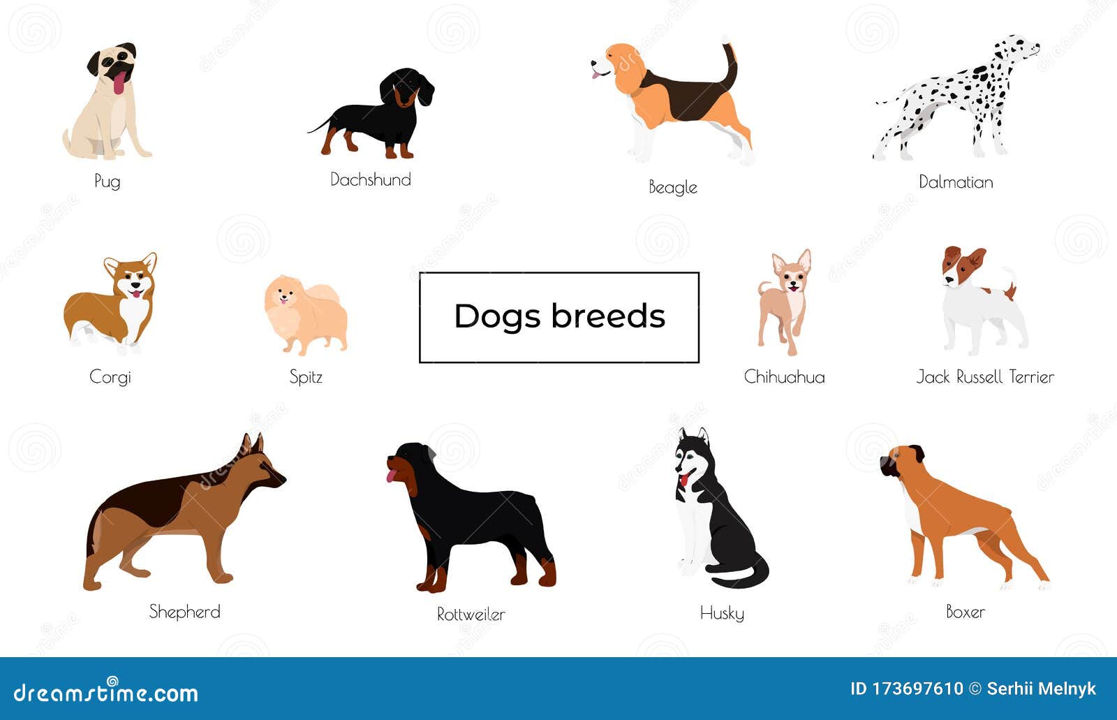 Different Type of Vector Cartoon Dogs. Stock Vector - Illustration of ...