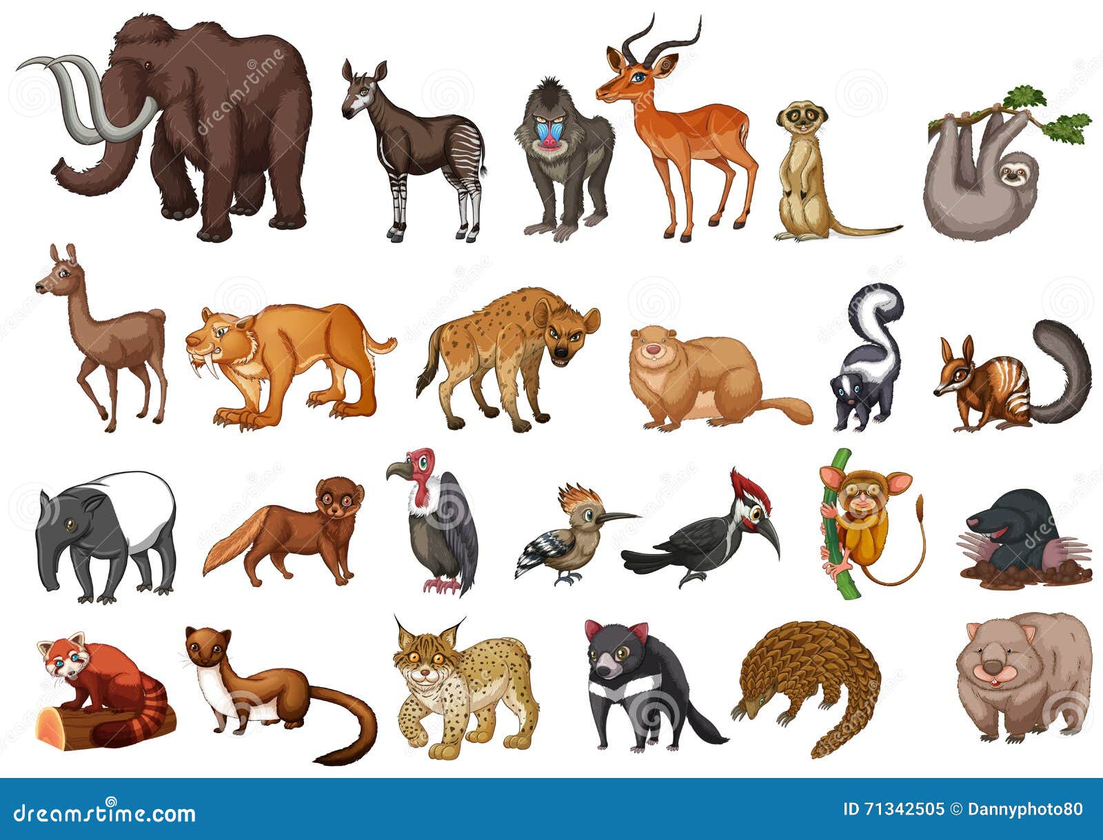 Different Type of Wild Animals on White Stock Vector - Illustration of ...