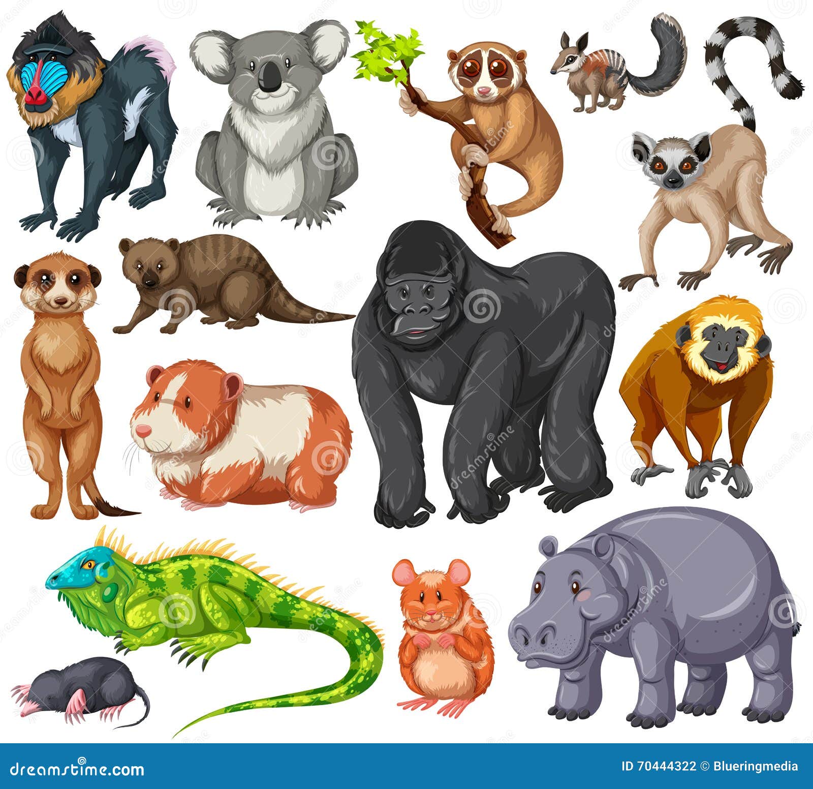 Different Type of Wildlife Animals on White Background Stock ...