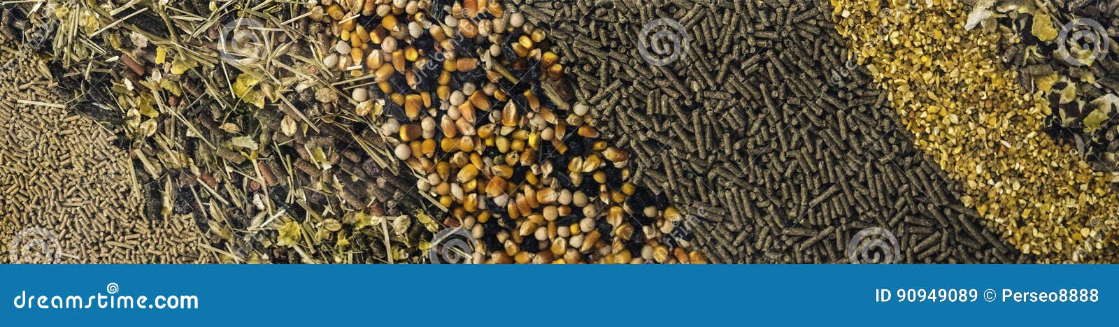 Different Types of Animal Feed for Background Stock Image - Image of ...