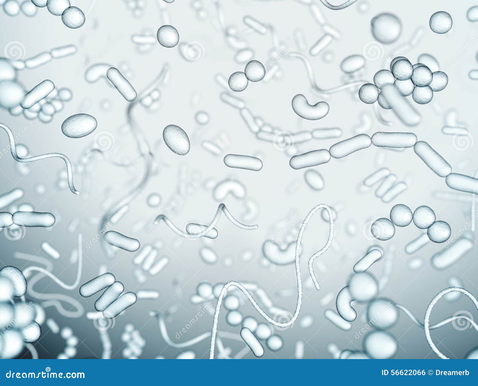 Different Types of Bacteria Stock Illustration - Illustration of life ...